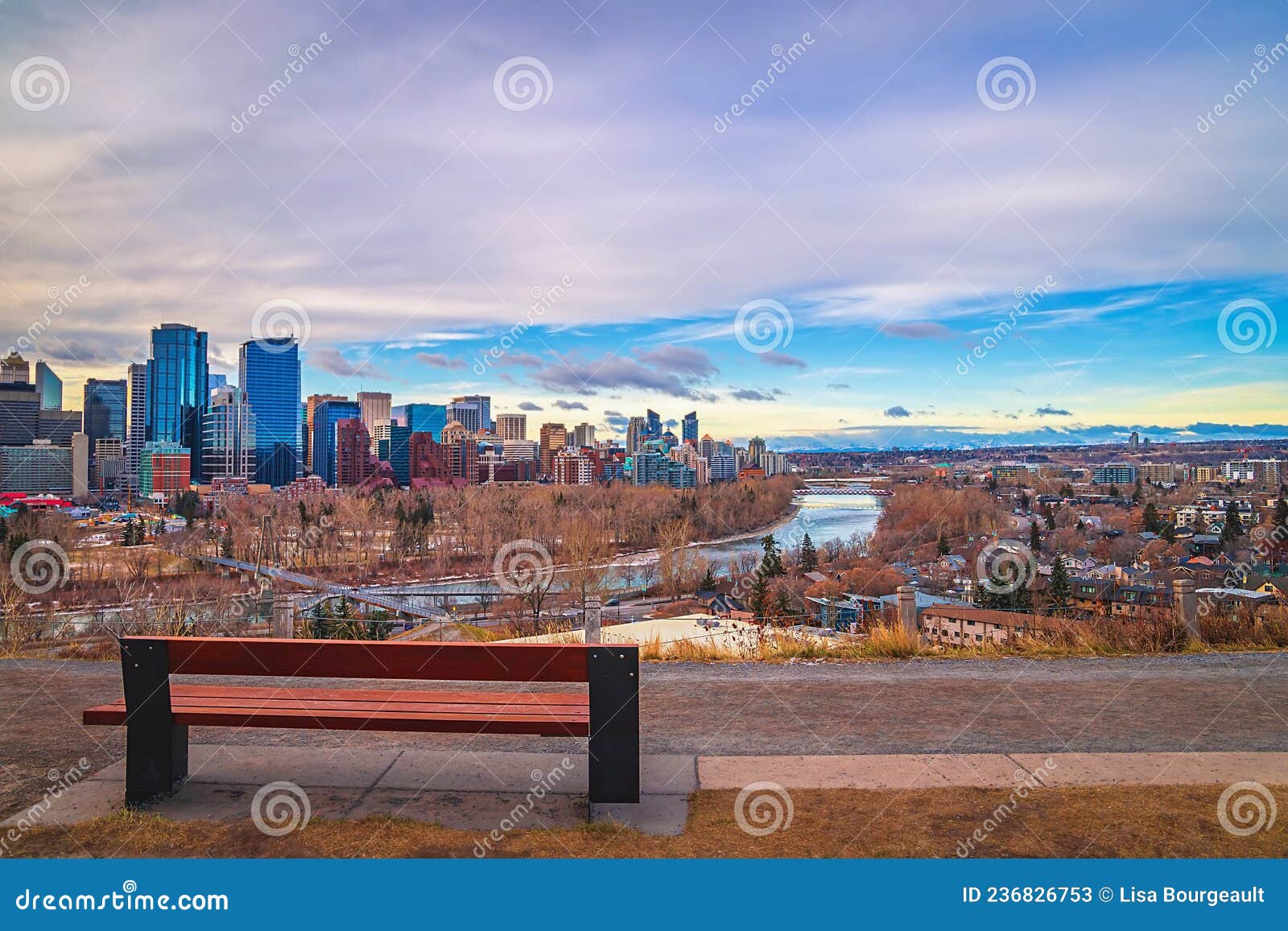 Bench Looking Out Over Downtown Calgary Stock Image - Image of building ...
