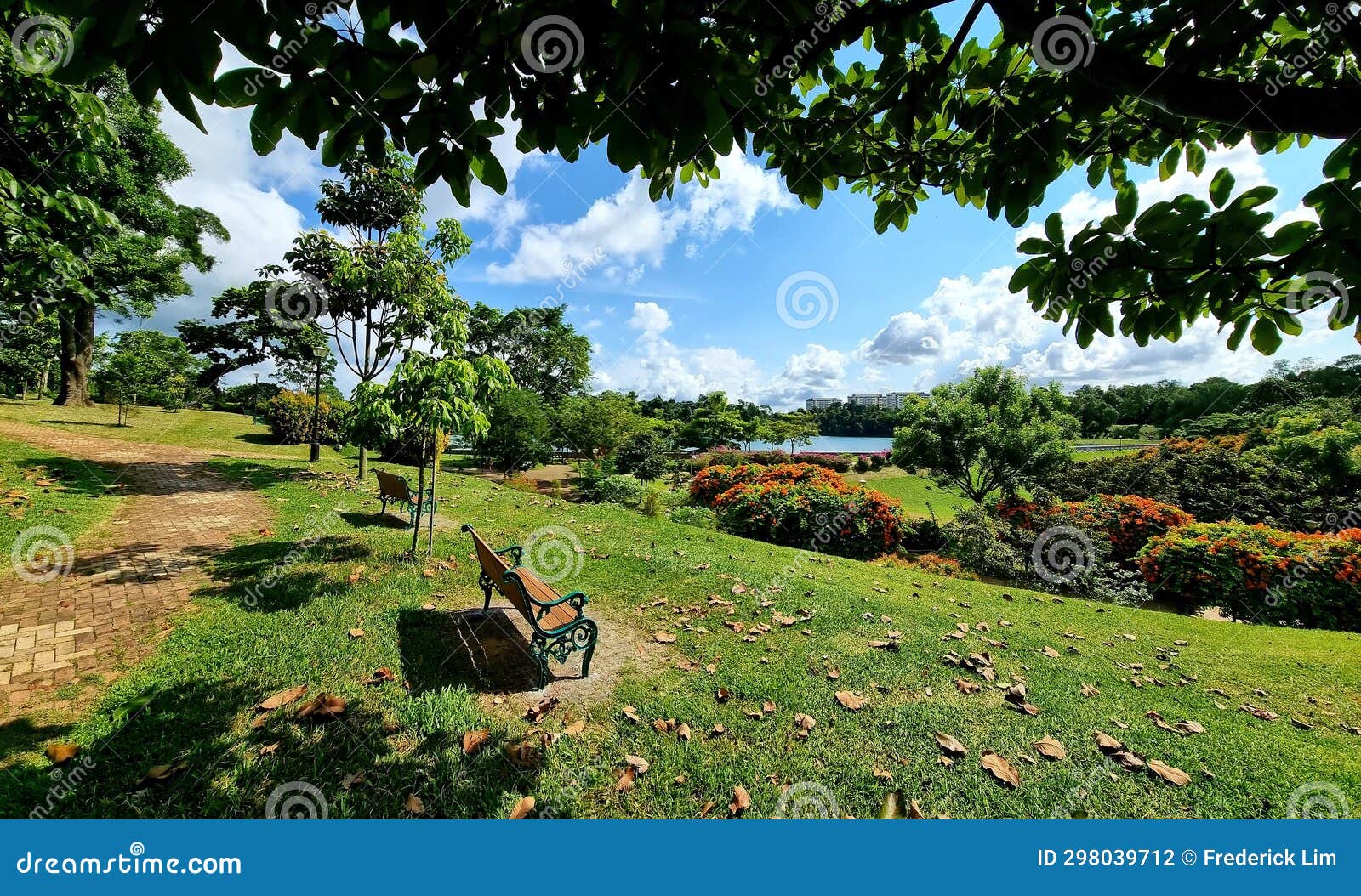 Bench in Macritchie Reservoir Park in Singapore Stock Photo - Image of ...
