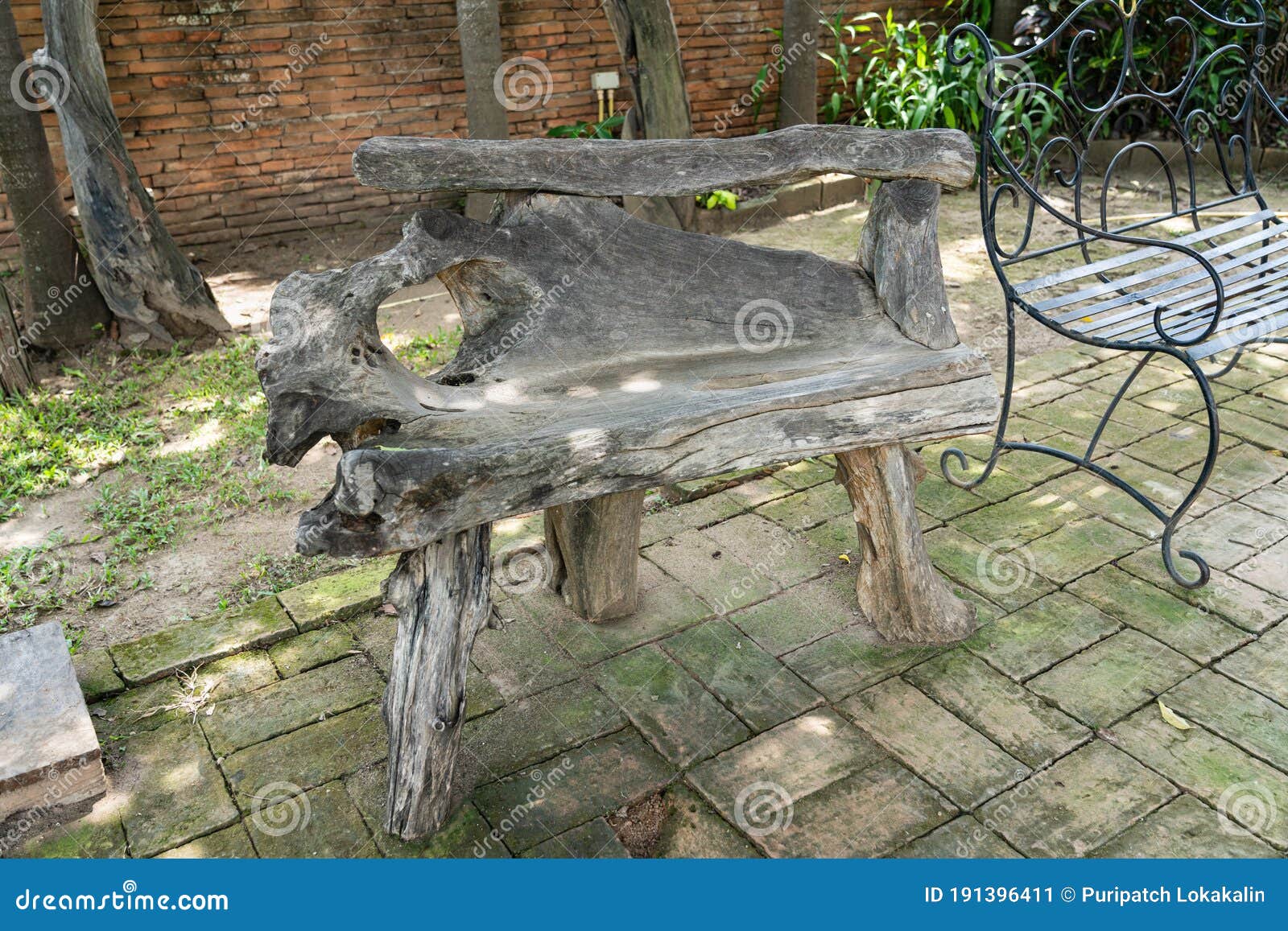 Large tree root bench editorial photo. Image of park - 191396411