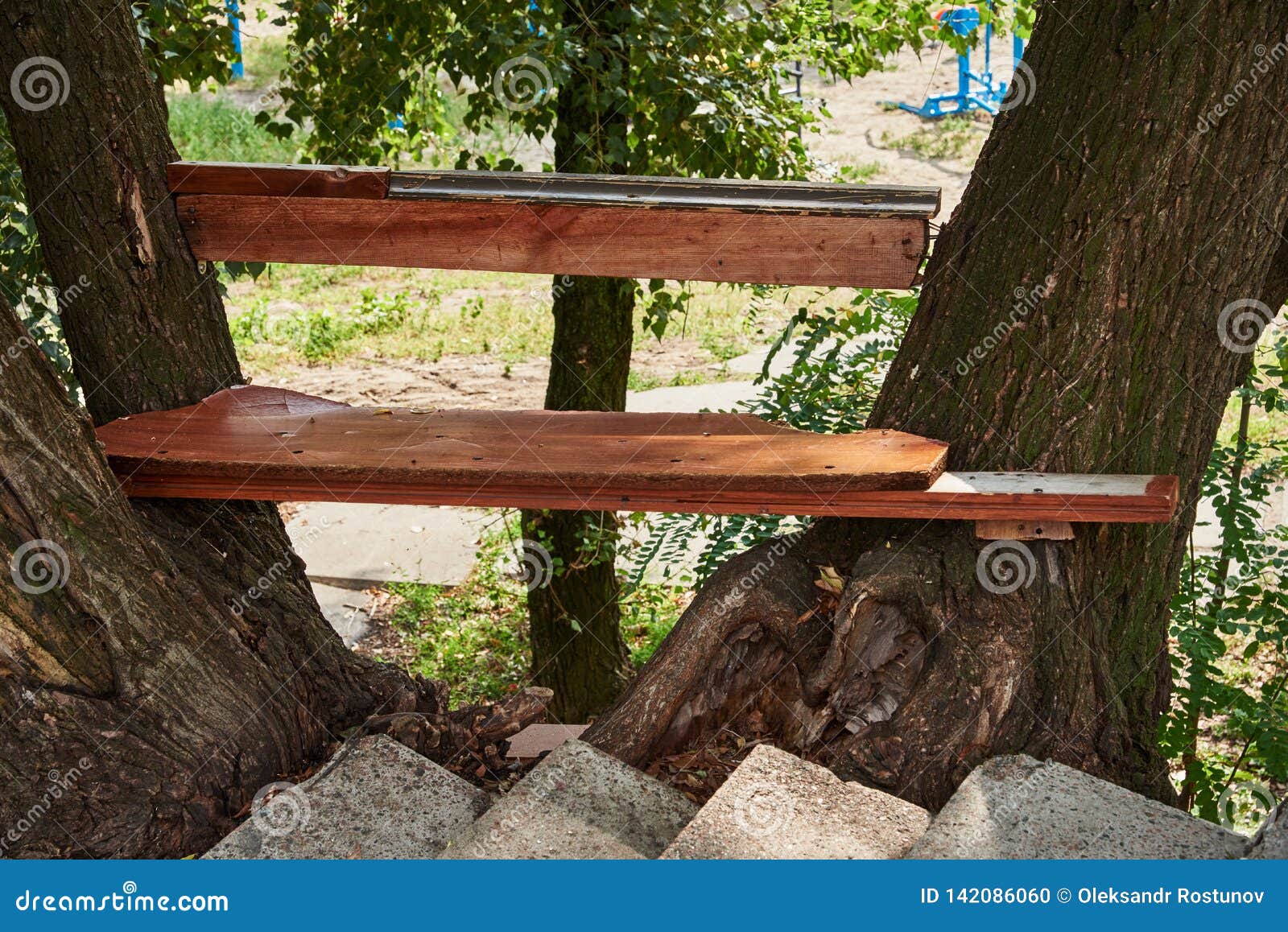 The Bench is Made of Planks that are Laid between the Trunks of Trees ...
