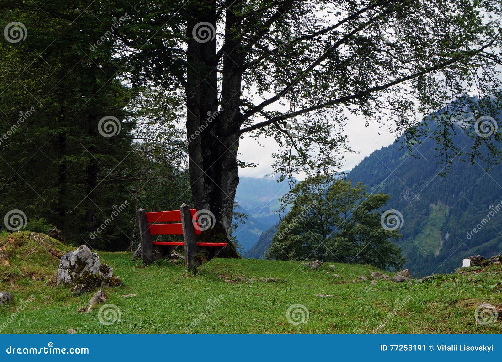 Bench in the Mountains, Switzerland Stock Image - Image of bench, swiss ...