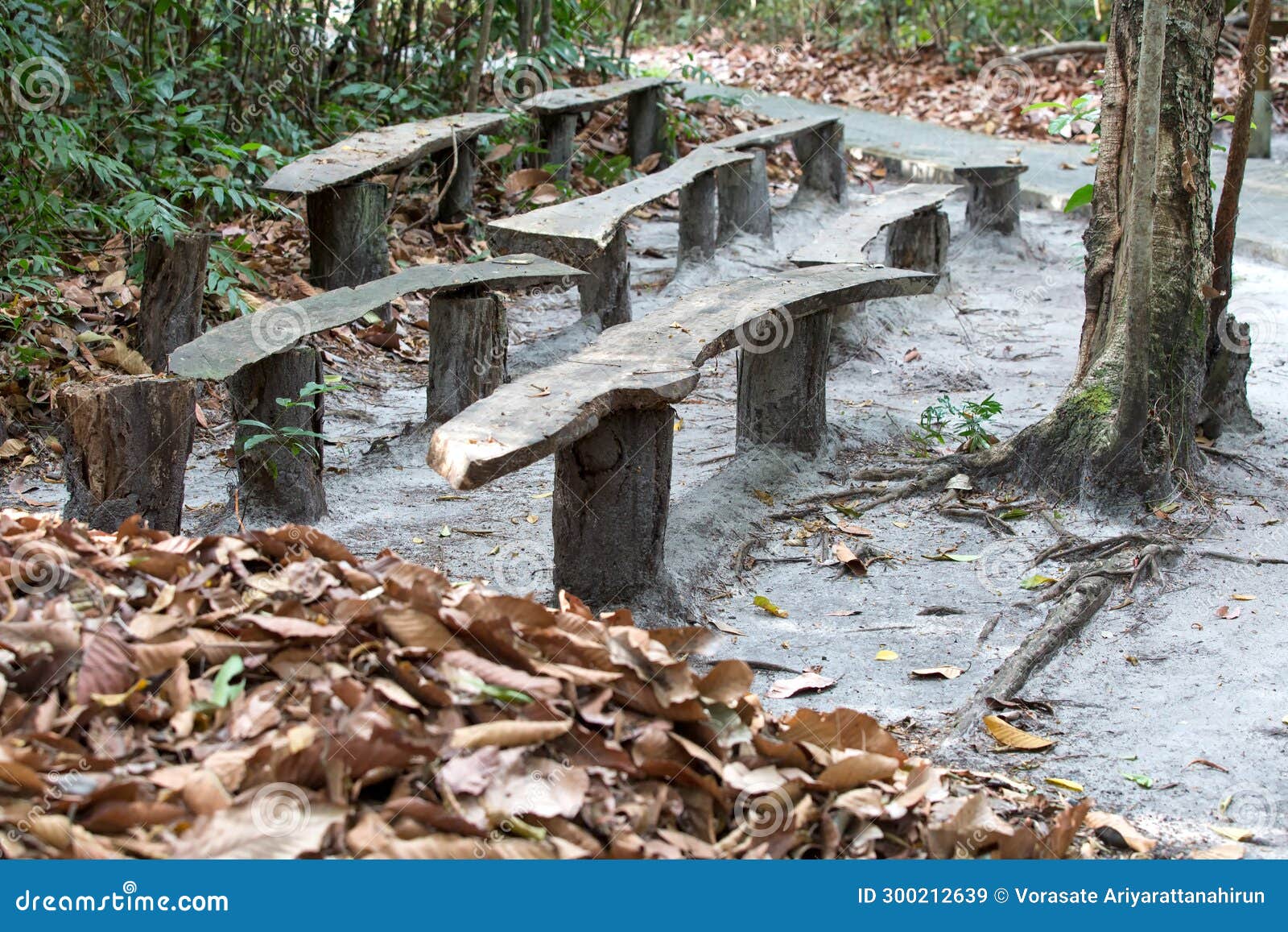 Bench in national park stock image. Image of resting - 300212639