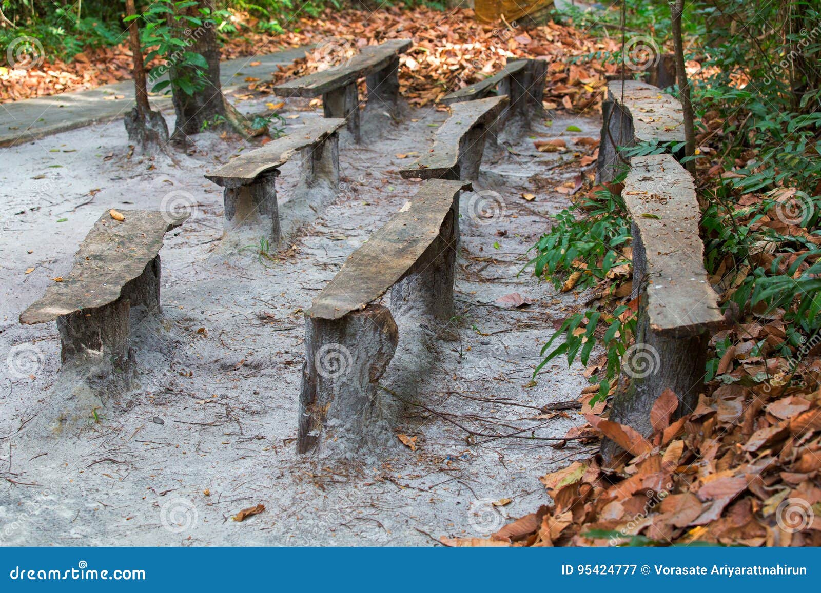 Bench in national park stock image. Image of rest, design - 95424777