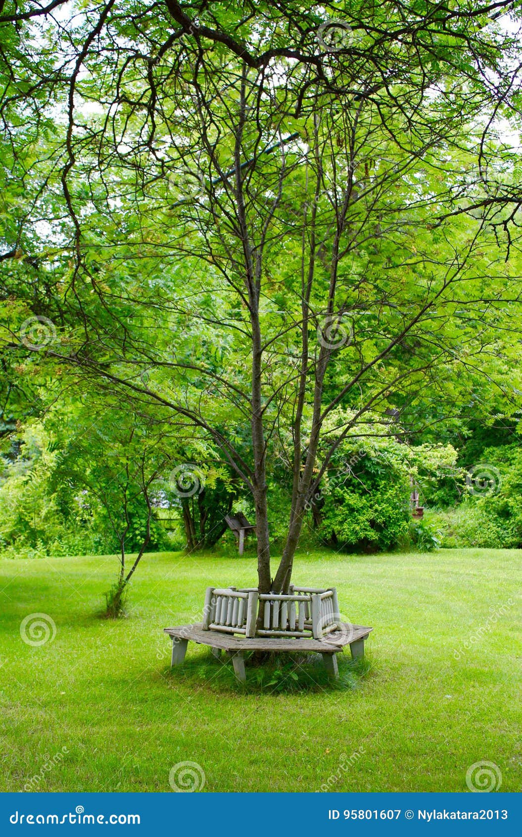 Bench stock image. Image of branch, natural, handmade - 95801607