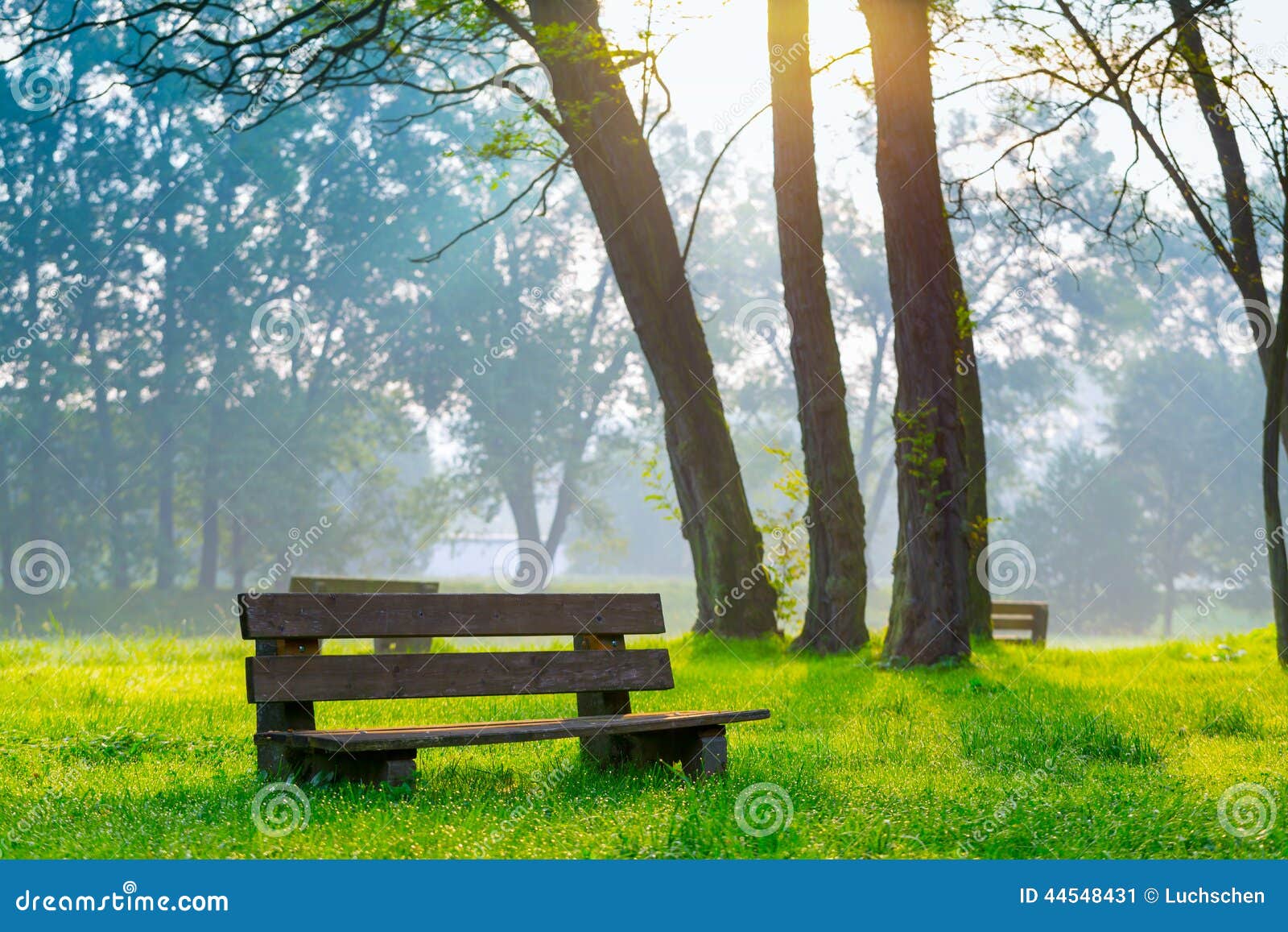 Bench in the natural park stock image. Image of fall - 44548431