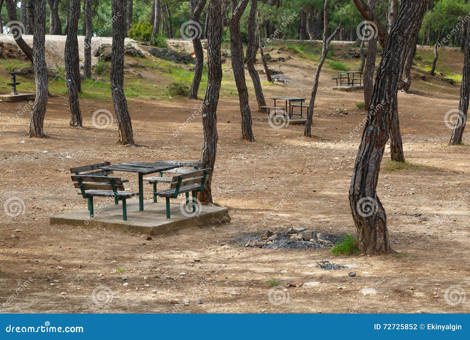 Bench in Natural Park stock photo. Image of seat, natural - 72725852
