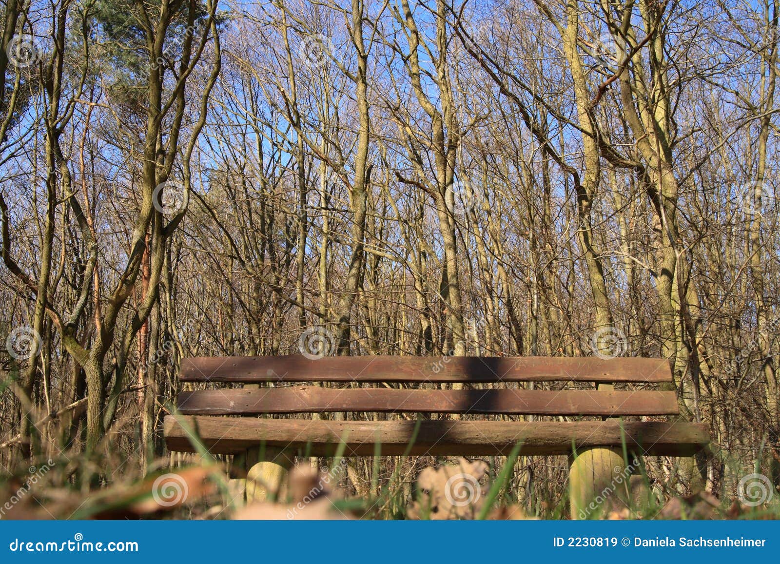 Bench In Nature Picture. Image: 2230819