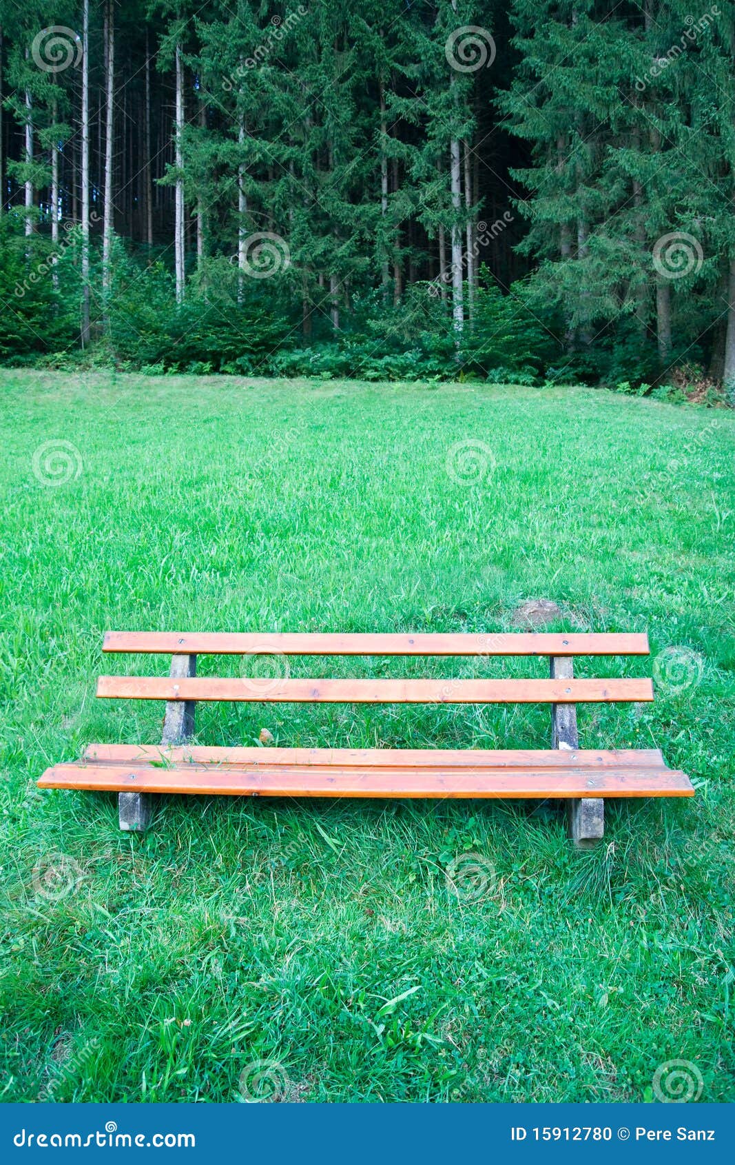 Bench in a nature park stock photo. Image of landscape - 15912780