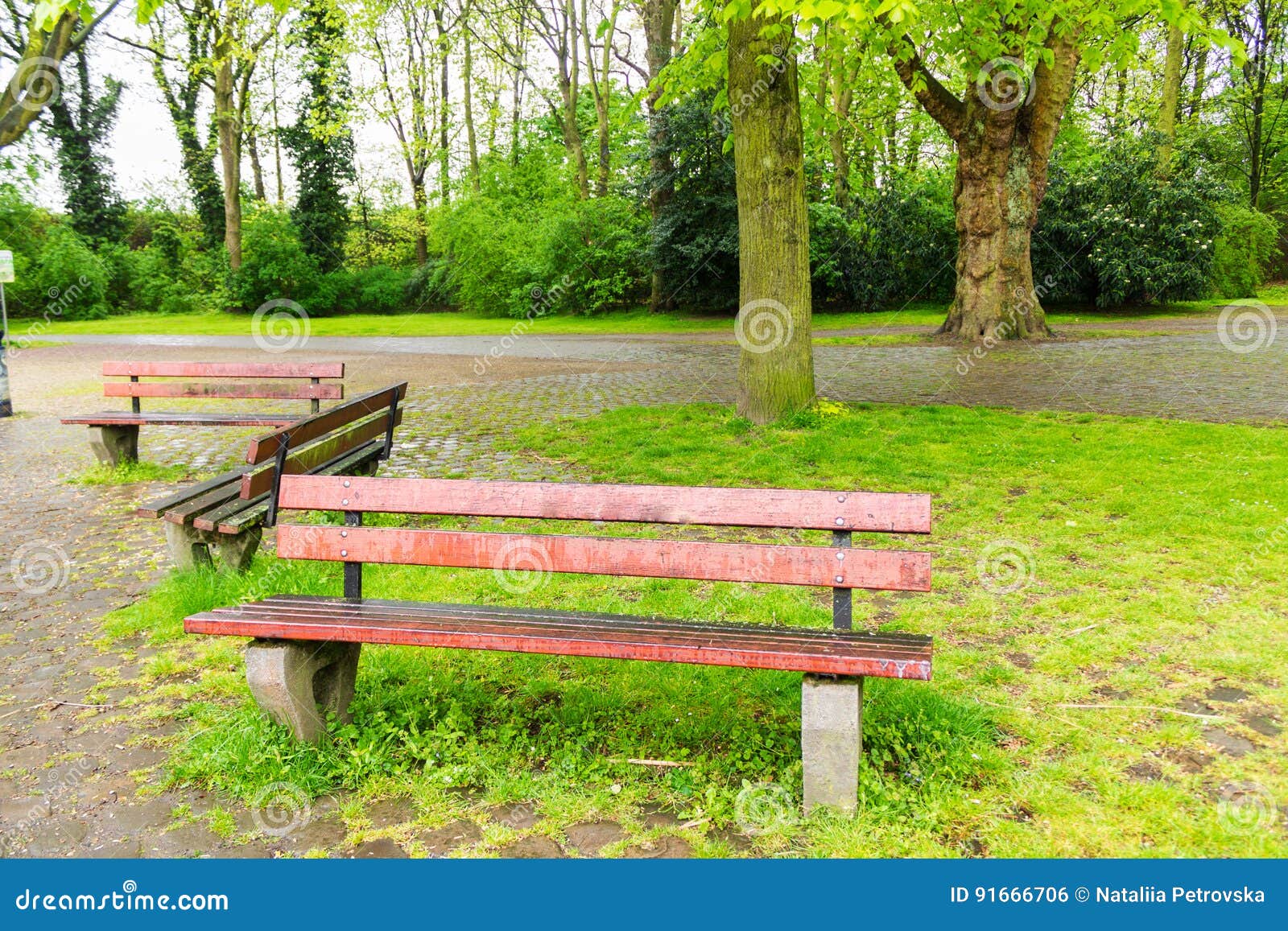Bench nature park spacious stock photo. Image of rocks - 91666706