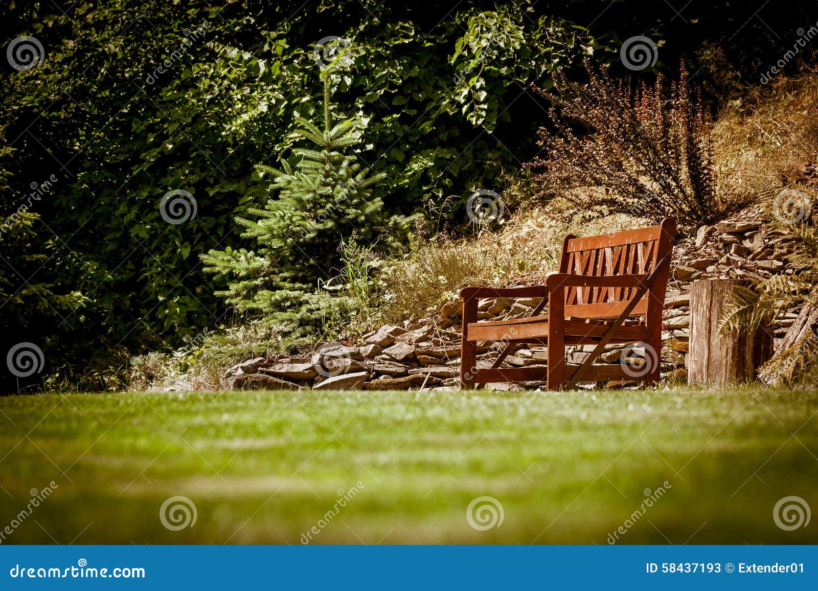 Bench in nature park stock image. Image of green, beautiful - 58437193