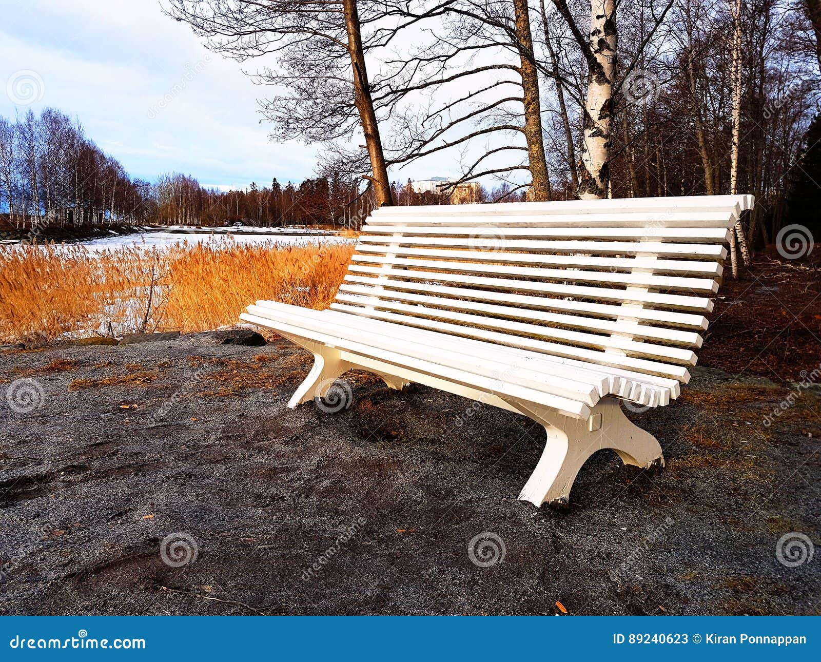 A BENCH and NATURE stock image. Image of beautiful, nature - 89240623