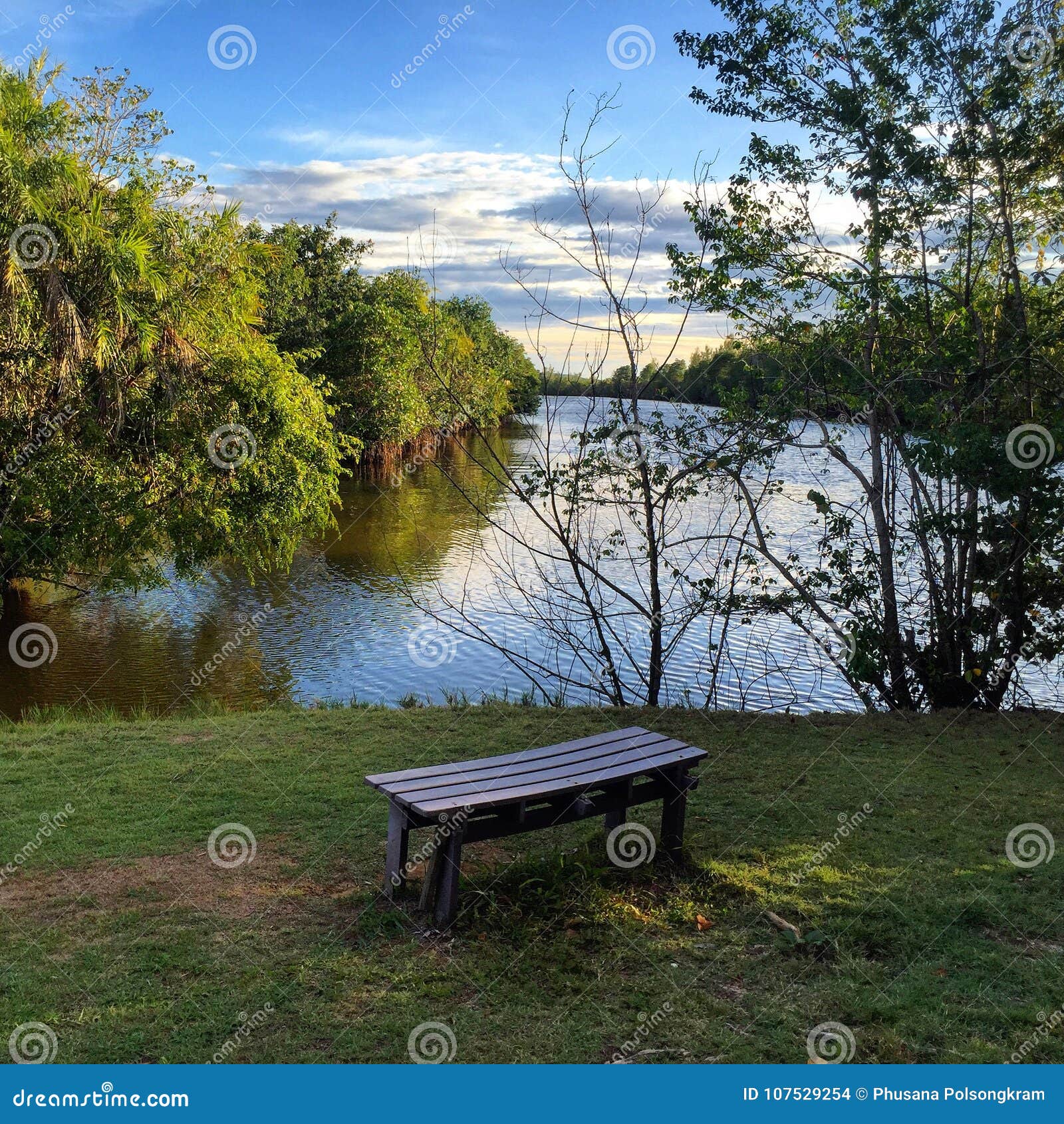 Bench near the river stock photo. Image of feild, sunset - 107529254