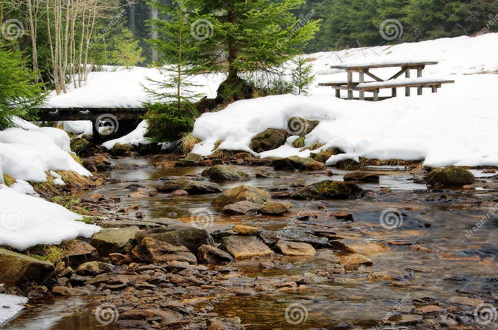 Bench near by stream stock image. Image of lake, park - 40114961