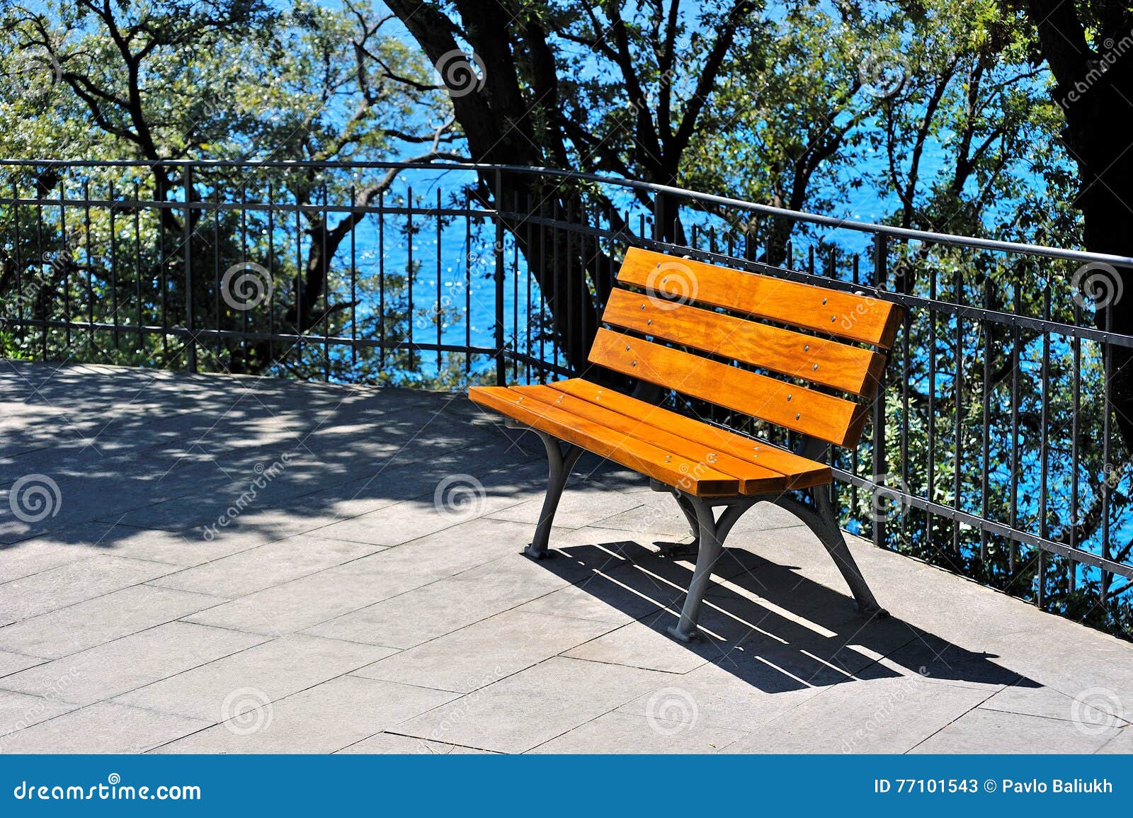 Bench Near the Water in the Park on a Sunny Day Stock Image - Image of ...