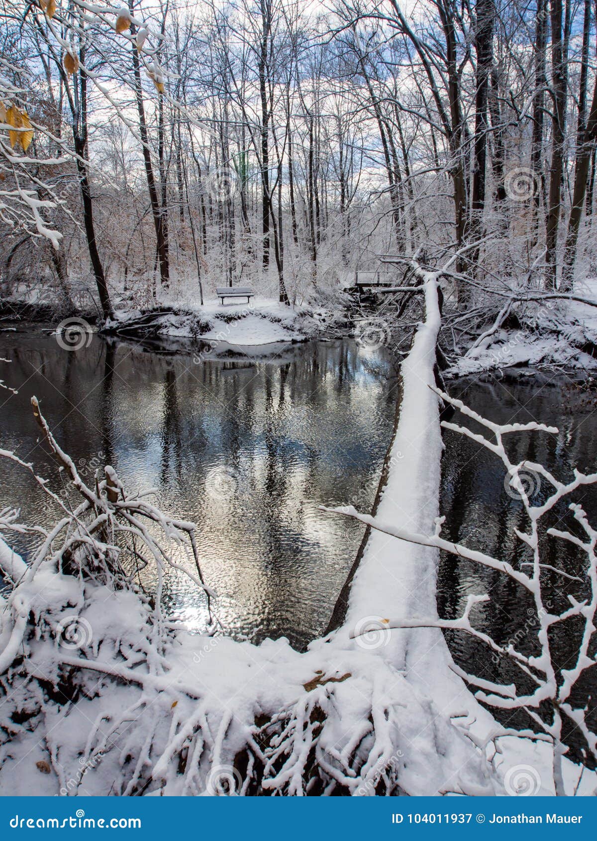 Downed Tree Across Creek in Winter Forest, Fresh Snow Stock Image ...