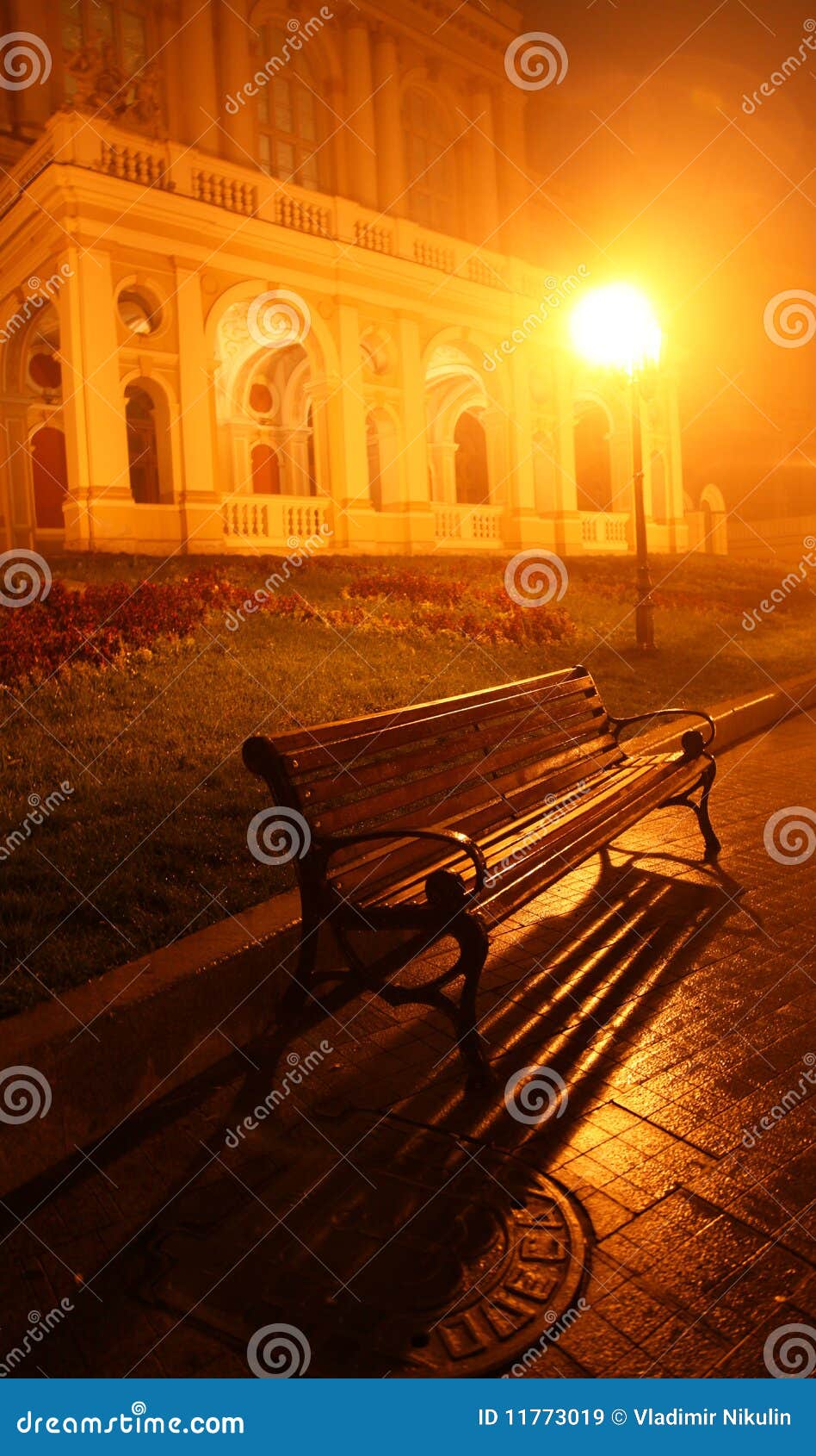 Bench in Night Alley with Lights Stock Image - Image of perspective ...