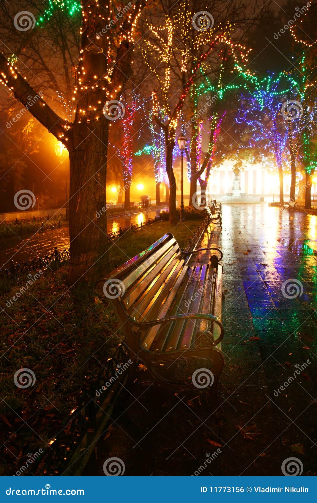 Bench in Night Alley with Lights Stock Photo - Image of peaceful, alley ...