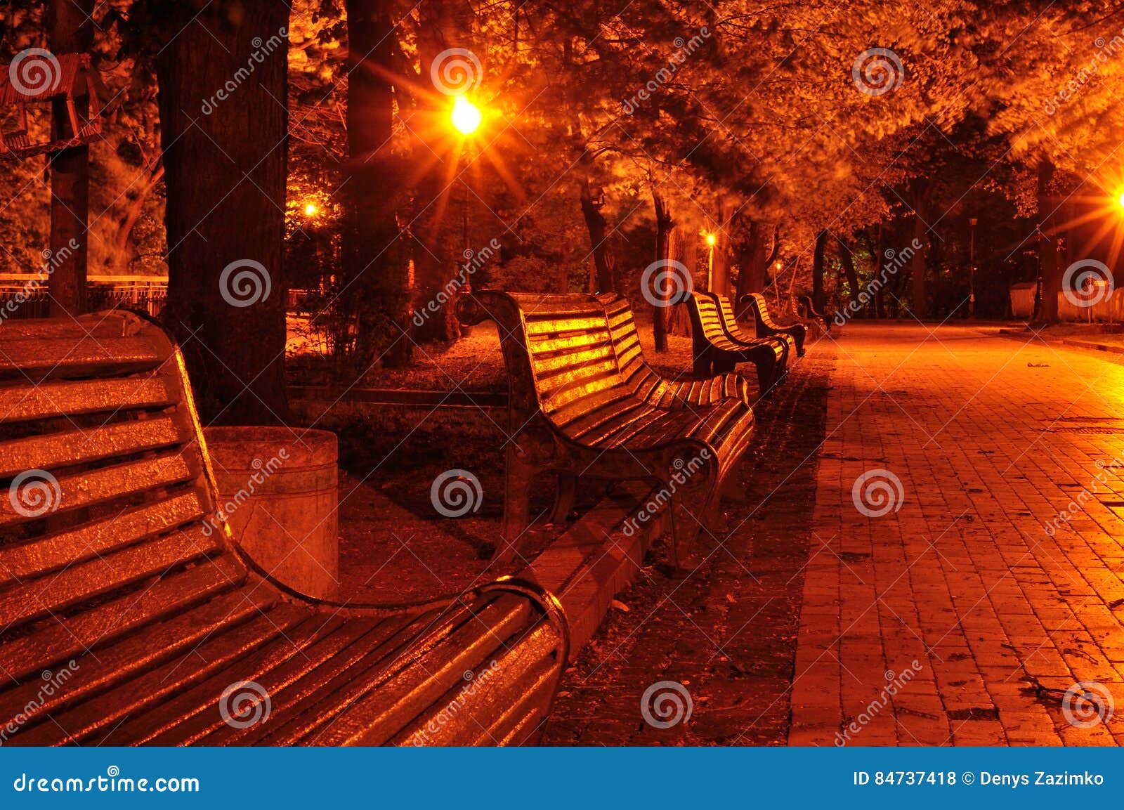 Bench in night park stock photo. Image of tranquil, season - 84737418