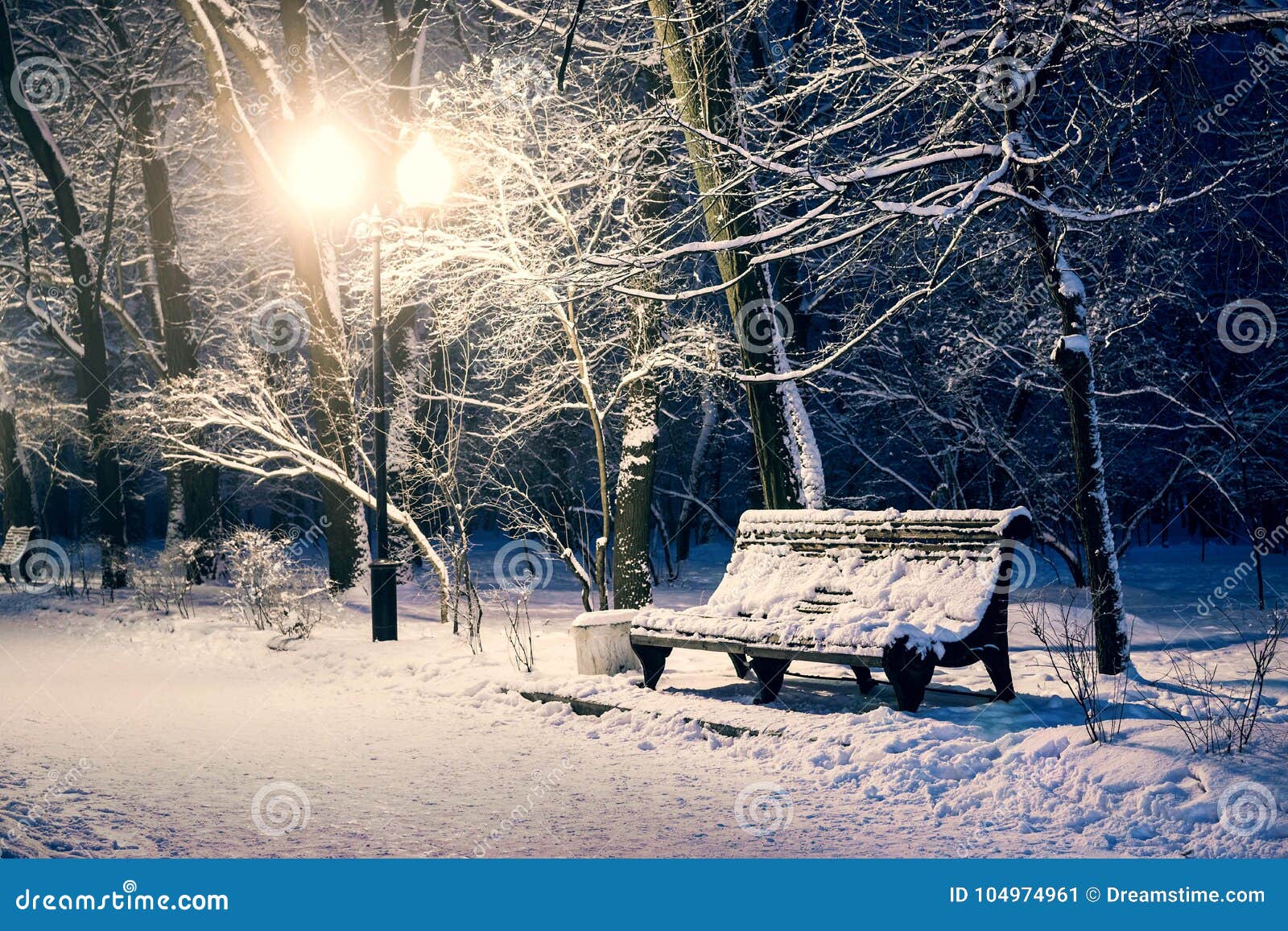 Bench in a night park stock image. Image of background - 104974961