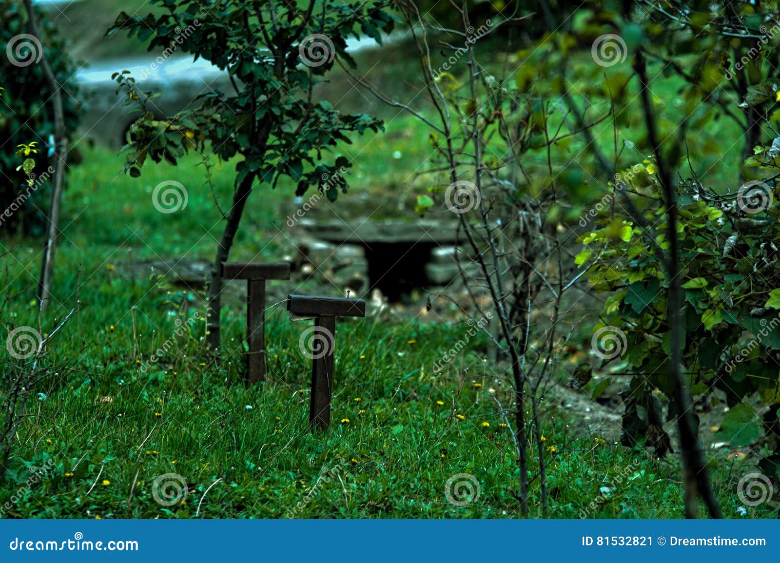 Bench stock image. Image of beautiful, jesen, bench, ulica - 81532821