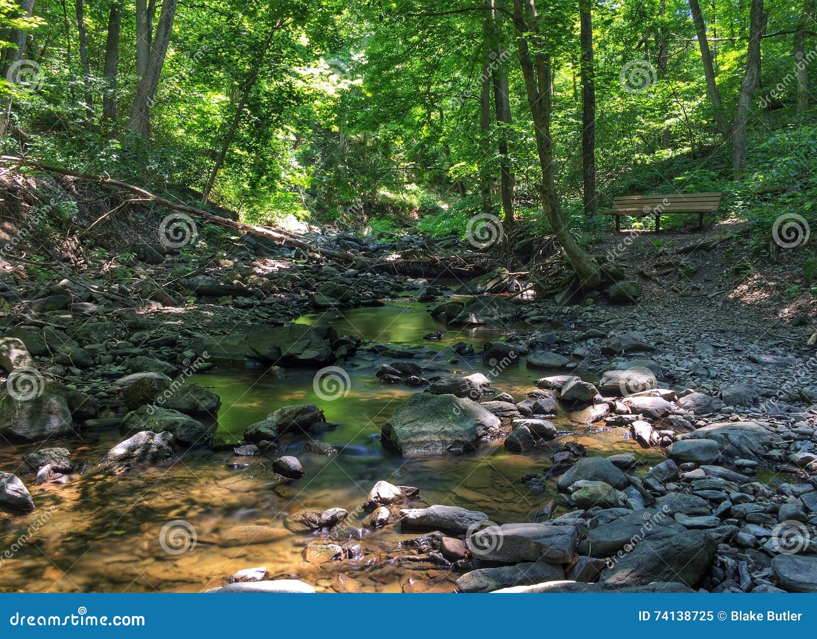 Bench over the Stream stock image. Image of river, bench - 74138725