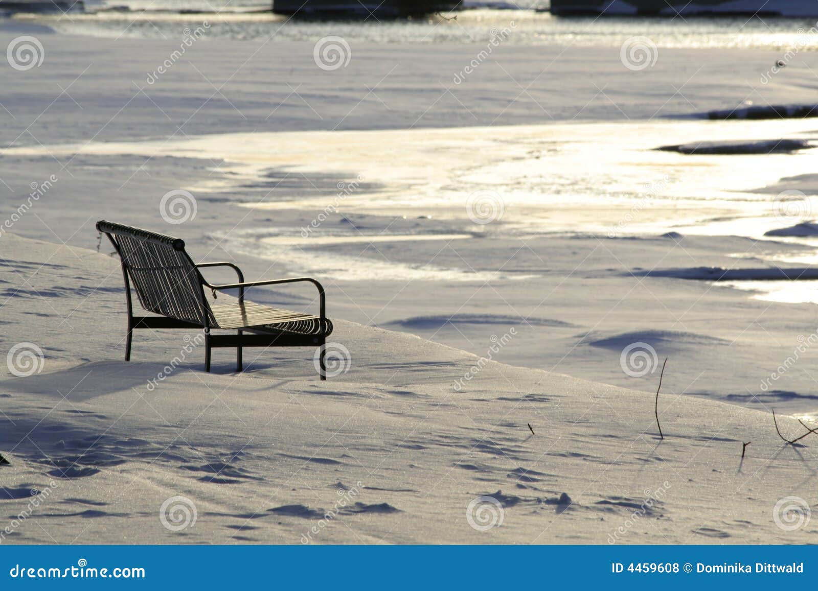 Bench overlook stock photo. Image of landscape, bench - 4459608