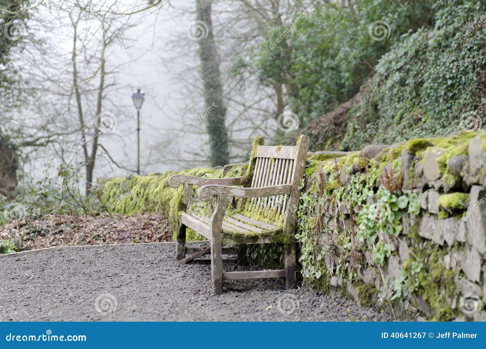 Bench Overlooking Ocean At Windansea Beach Royalty-Free Stock ...