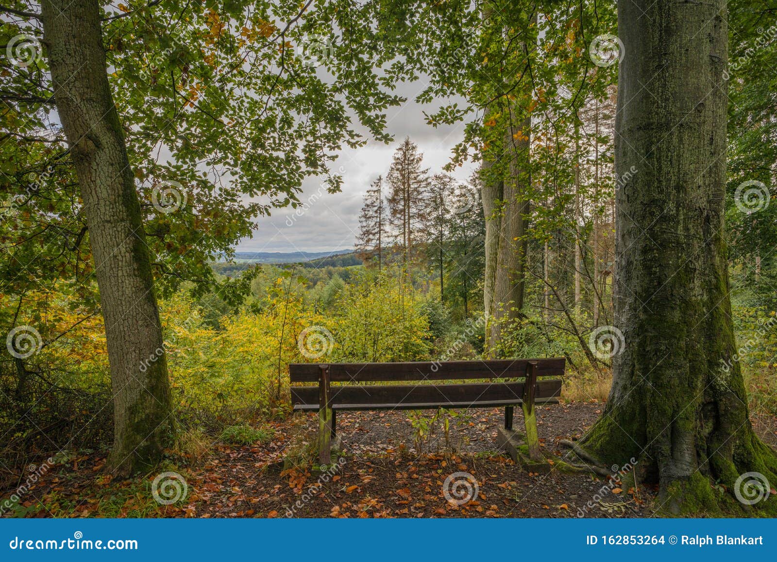 Bench Overlooking the Forest in October at the Olberg. Stock Photo ...