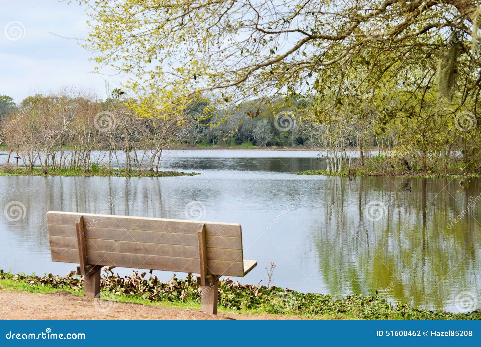 Bench overlooking a lake stock photo. Image of tranquil - 51600462