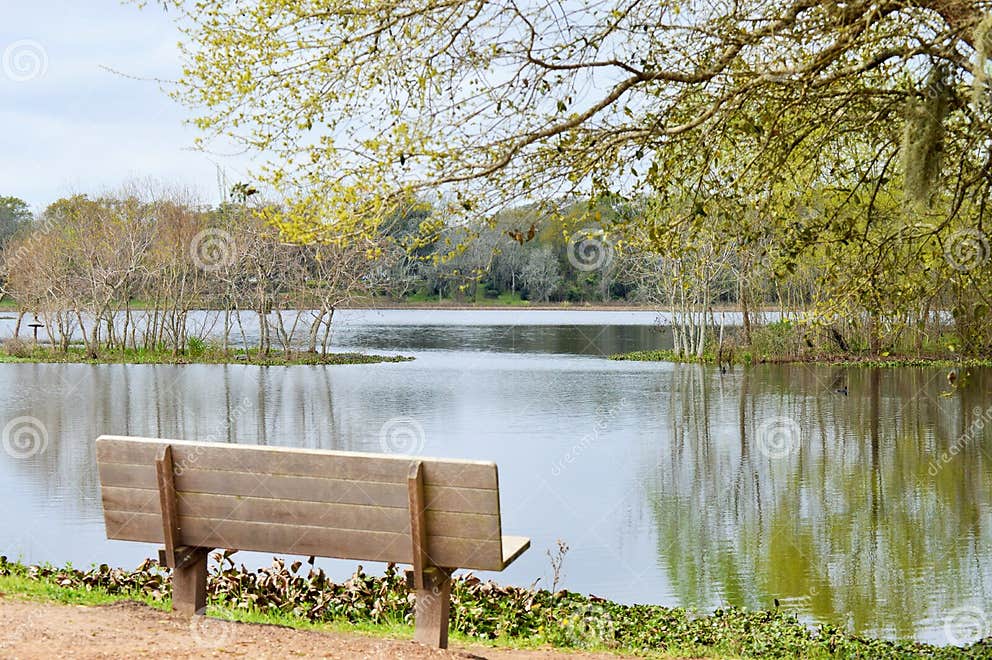 Bench overlooking a lake stock photo. Image of tranquil - 51600462