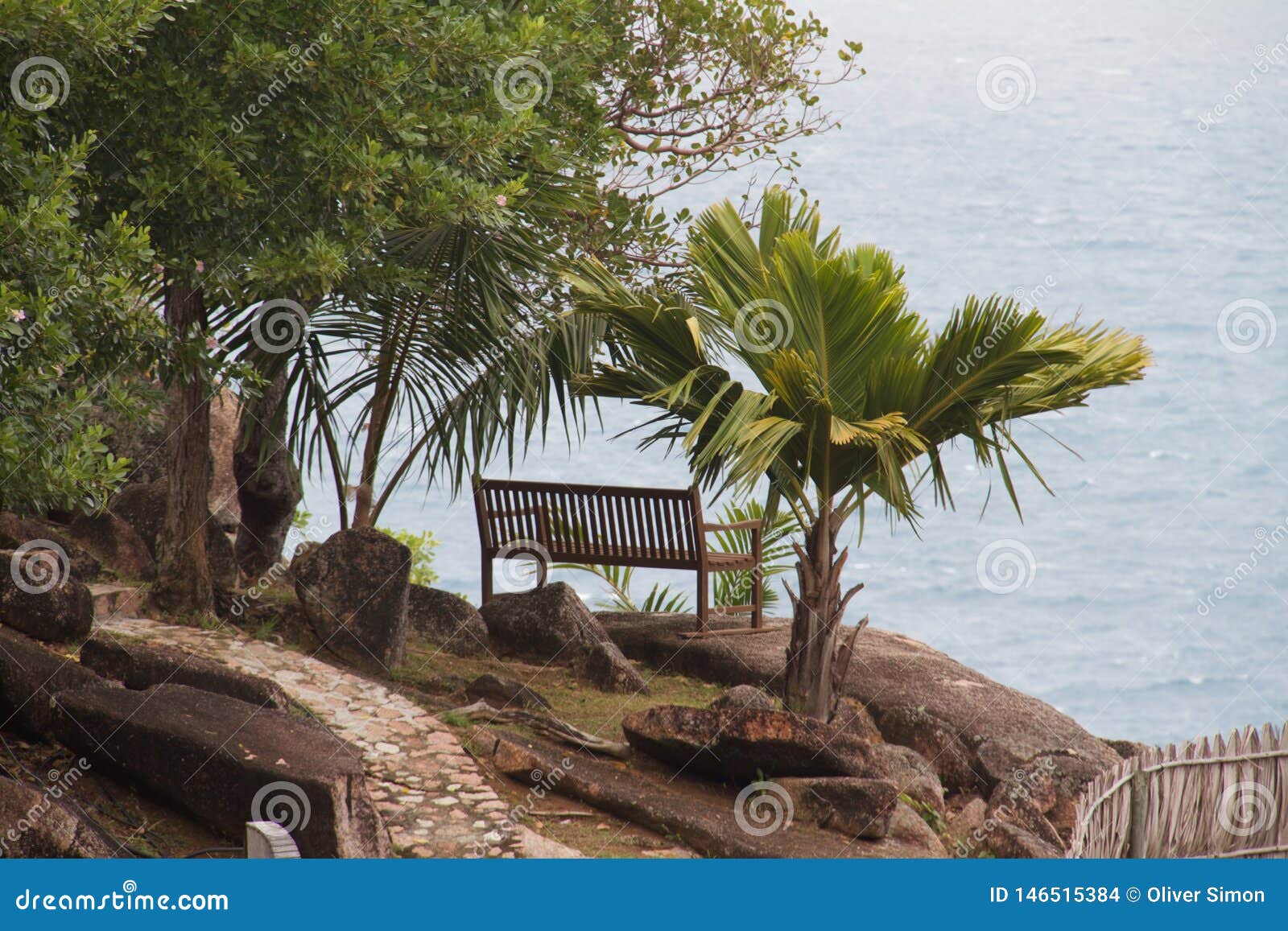Bench overlooking ocean stock photo. Image of overlooking - 146515384
