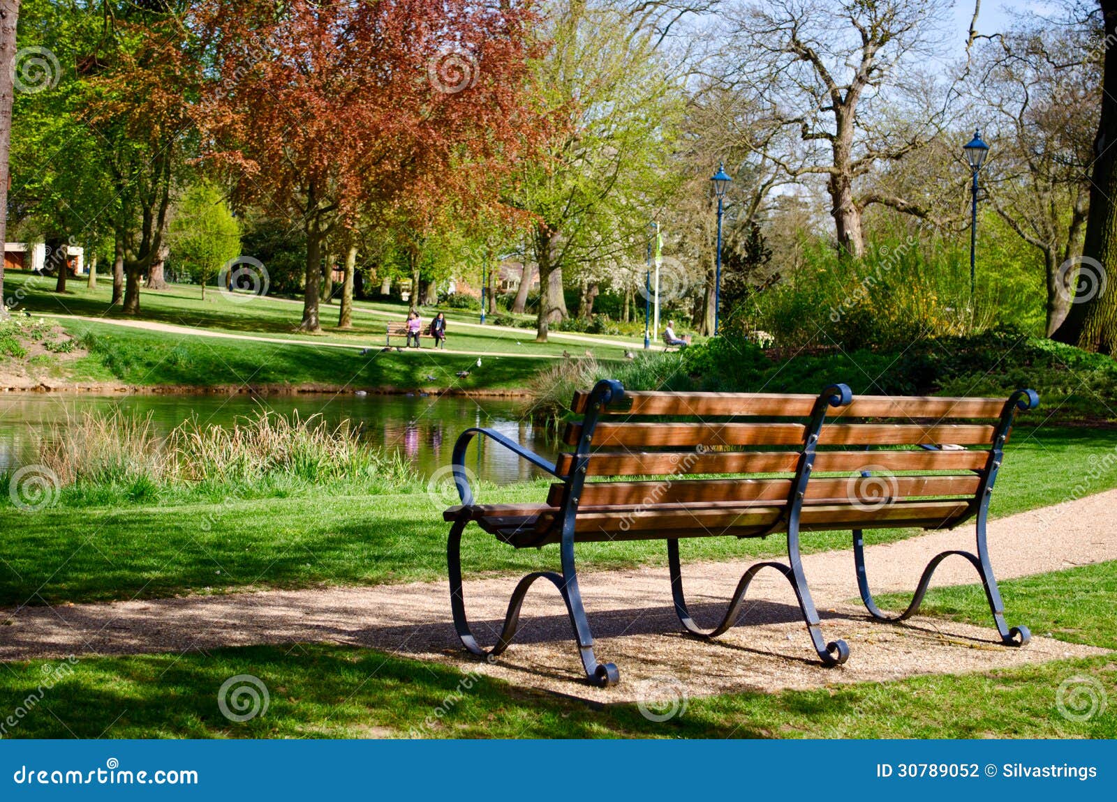 A bench overlooking a pond stock photo. Image of wooden - 30789052