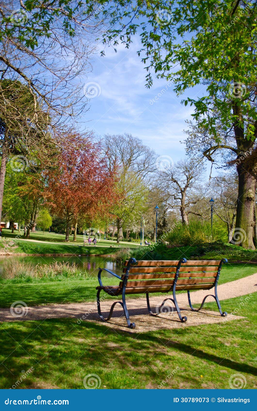 Bench overlooking a pond stock image. Image of pond, park - 30789073