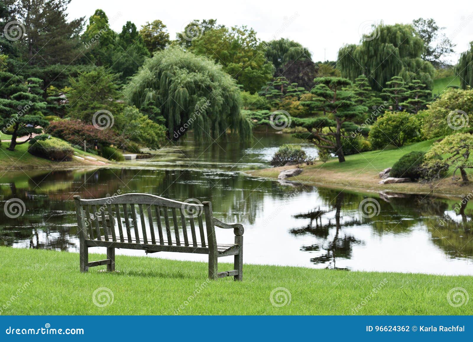 Bench overlooking pond stock photo. Image of forest, bench - 96624362