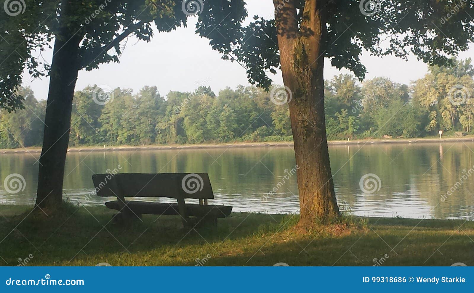 Bench Overlooking River Rhine Stock Photo - Image of overlooking ...