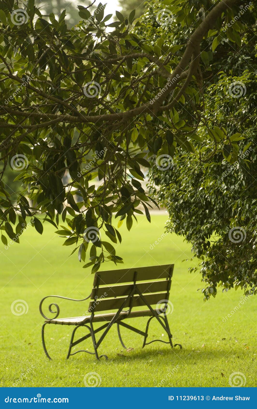 Bench in a park stock image. Image of sitting, seat, park - 11239613