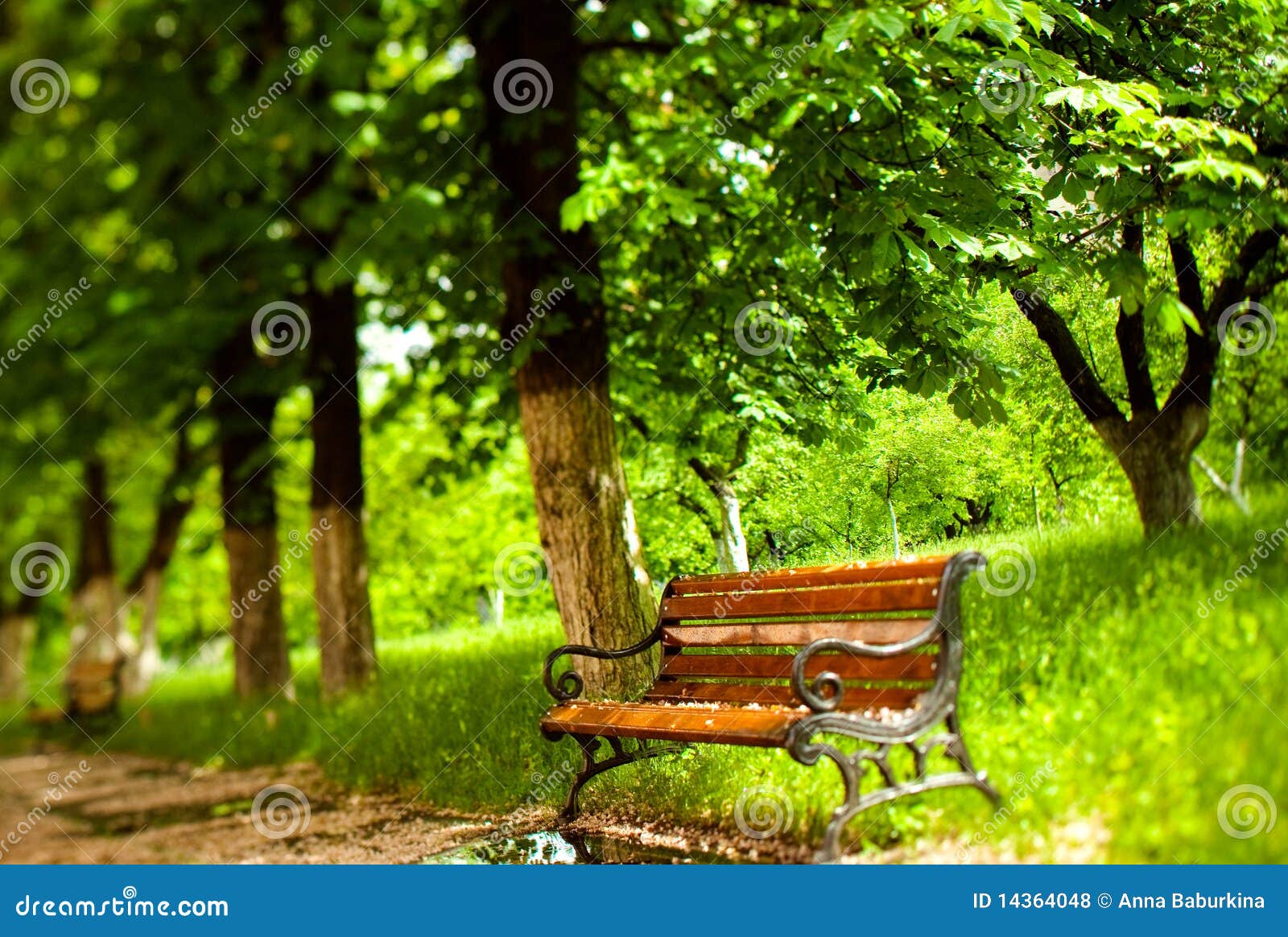 Bench in a park stock photo. Image of nature, recreation - 14364048