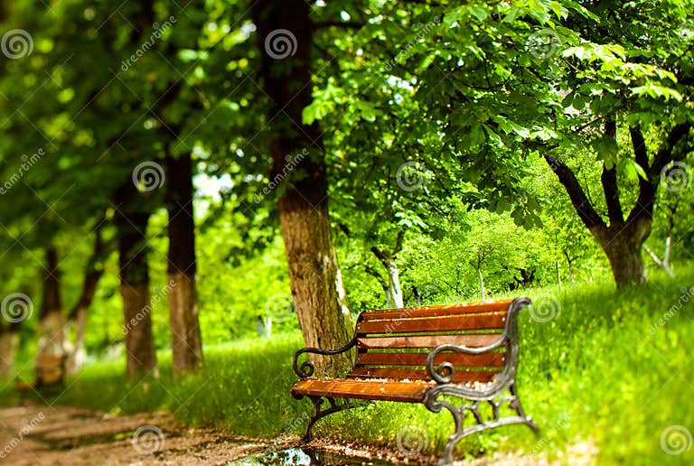 Bench in a park stock photo. Image of nature, recreation - 14364048