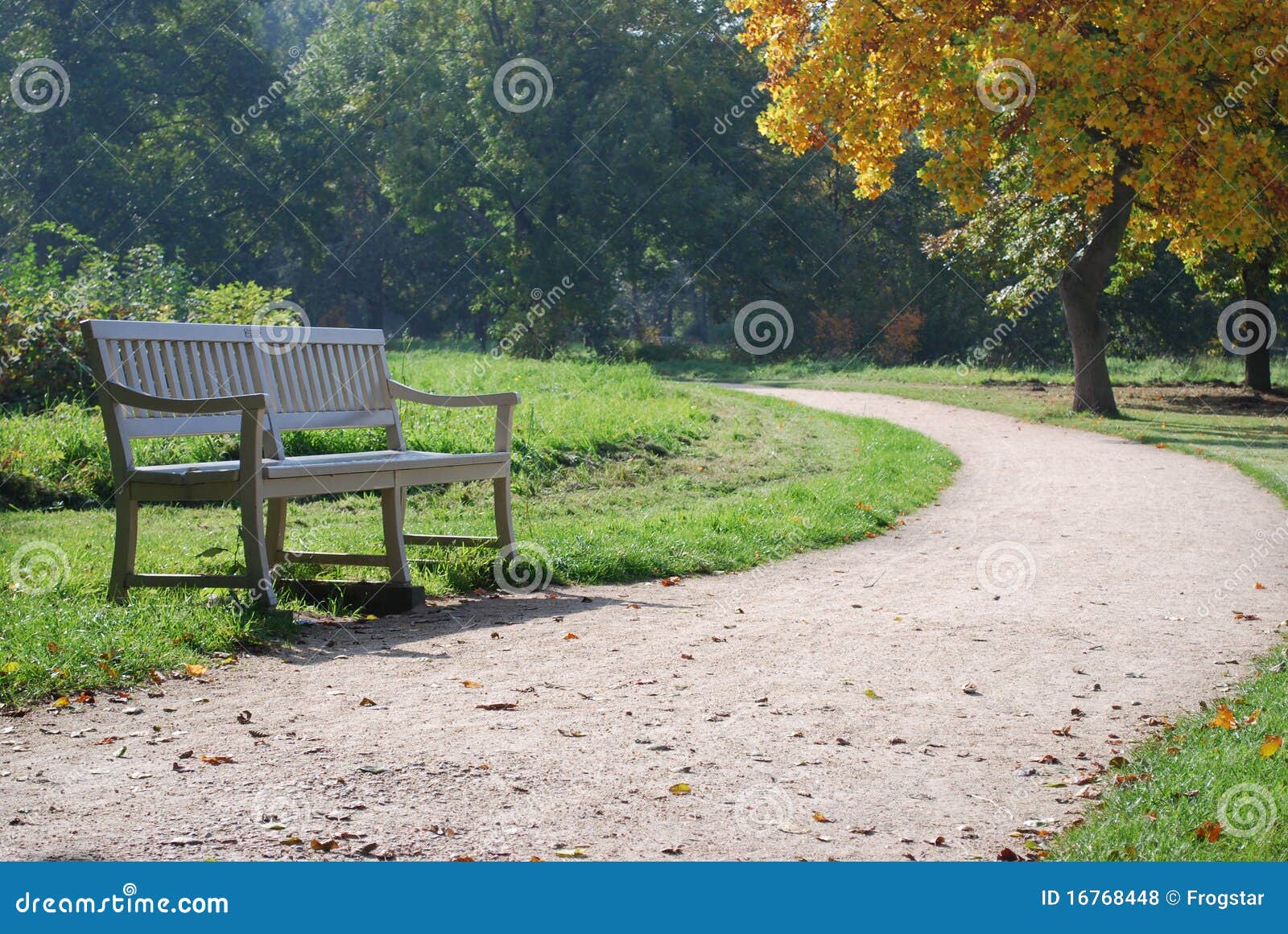 Bench at the park stock photo. Image of lawn, leaf, outdoor - 16768448