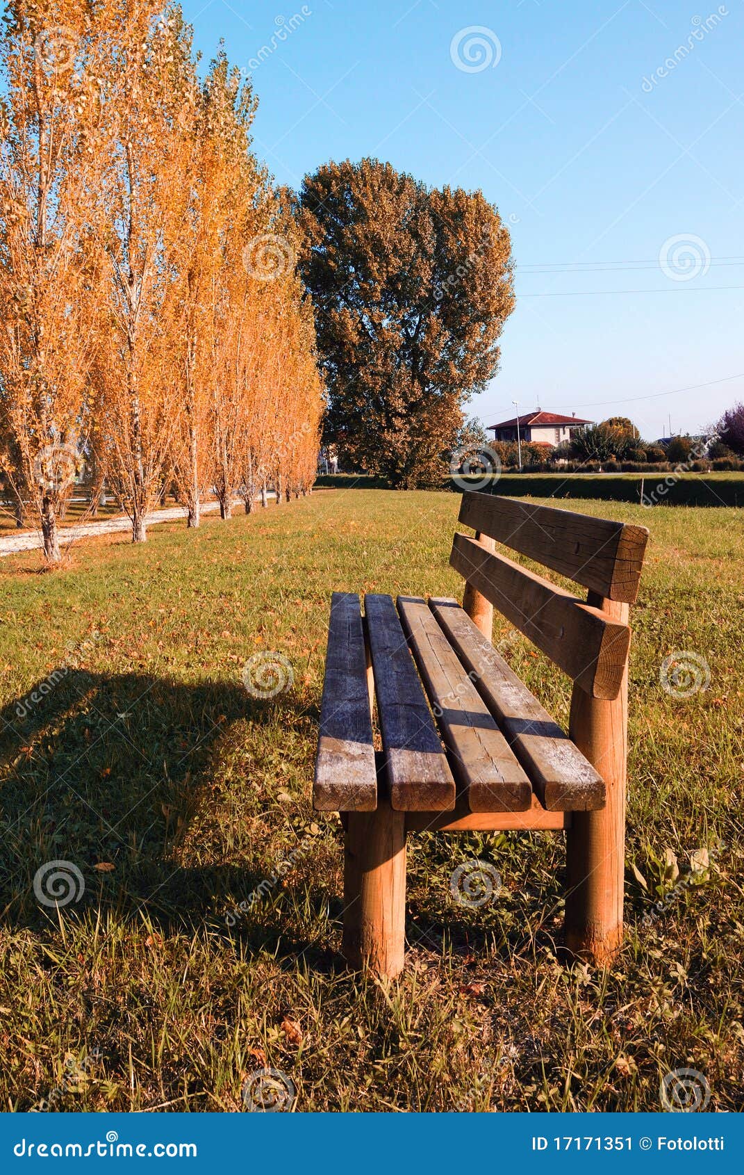 Bench in the park stock image. Image of outdoor, bench - 17171351