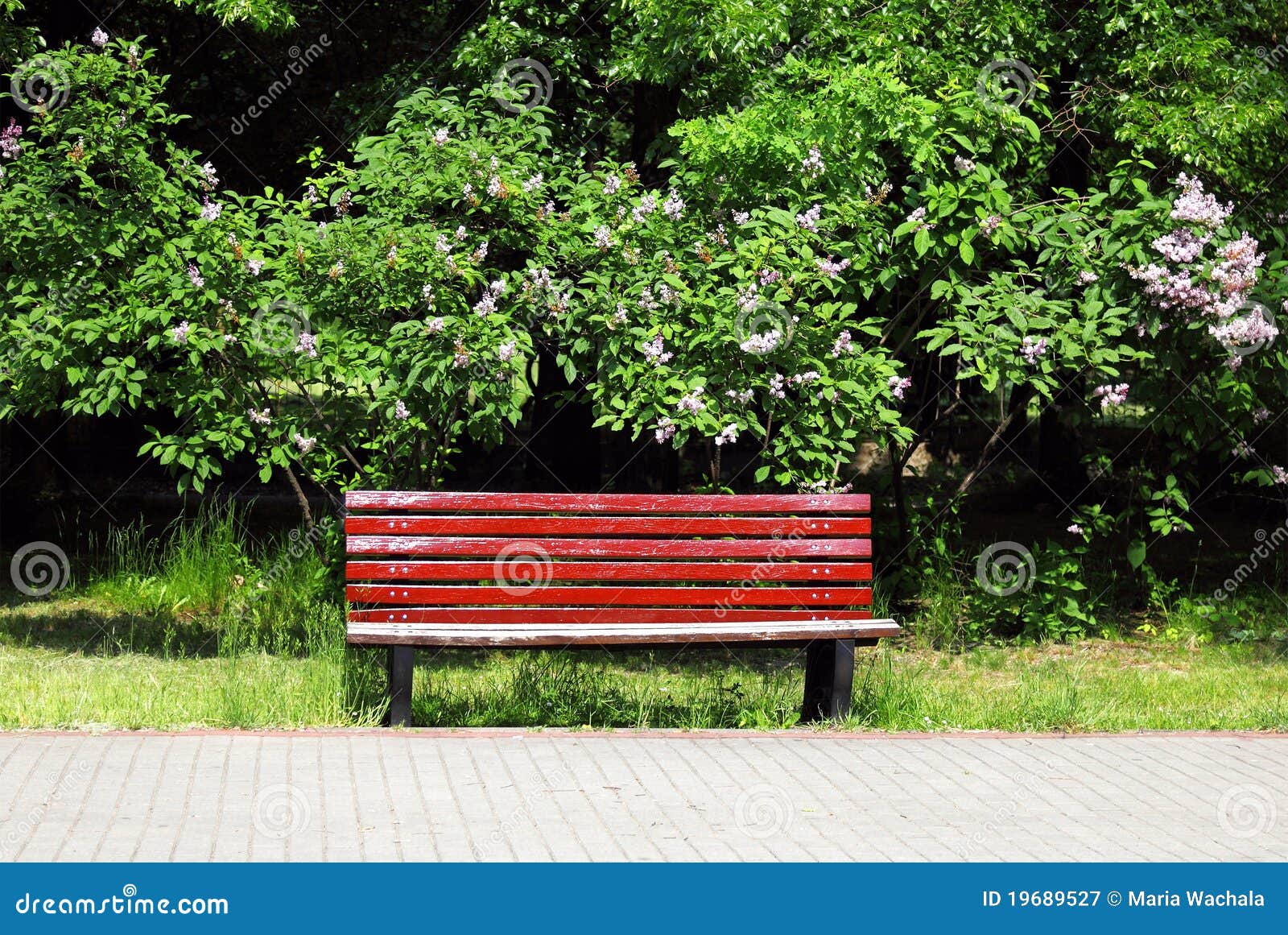 Bench in the park stock image. Image of natural, relaxation - 19689527