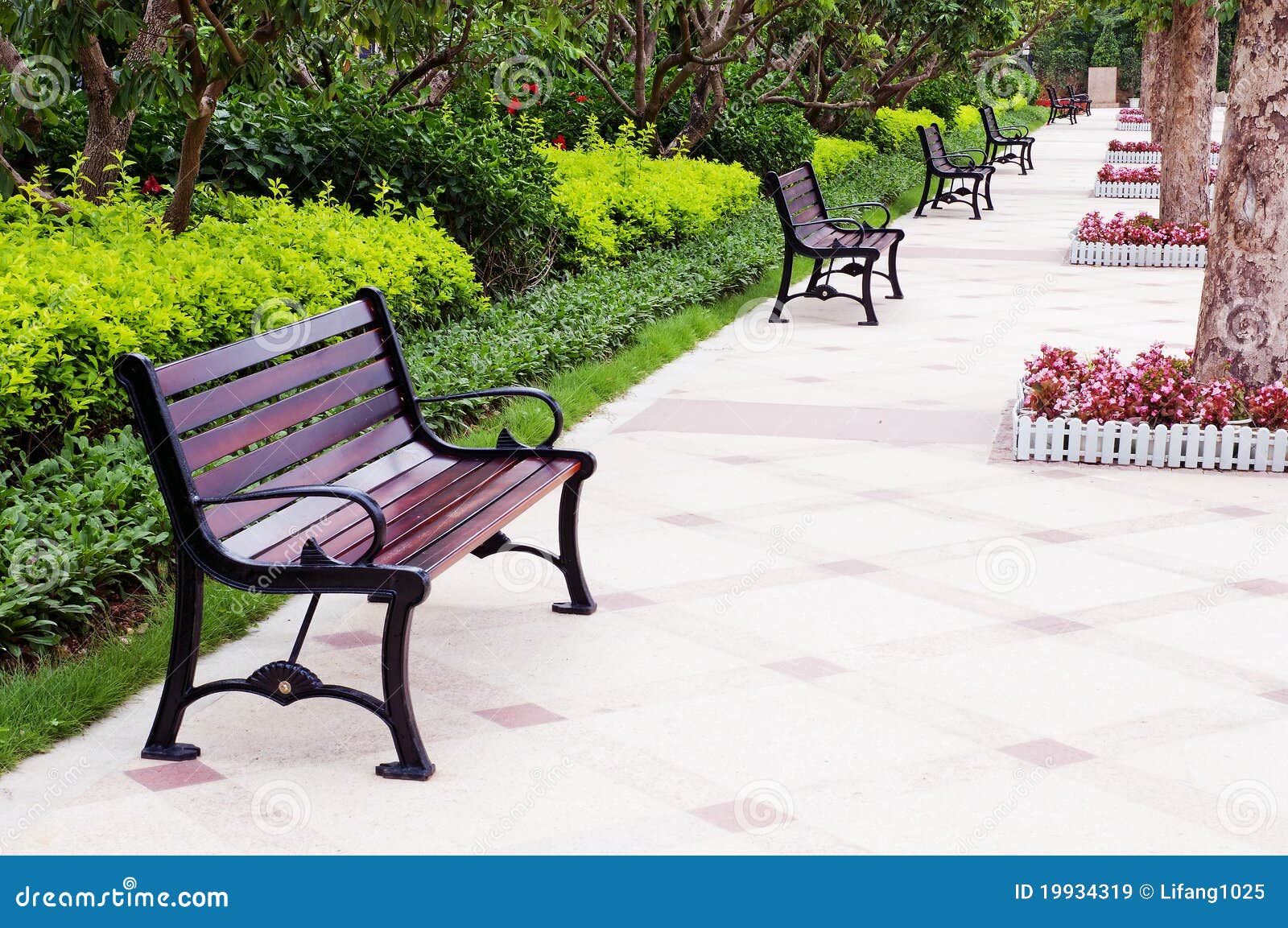 Bench in park stock image. Image of grass, path, beautiful - 19934319