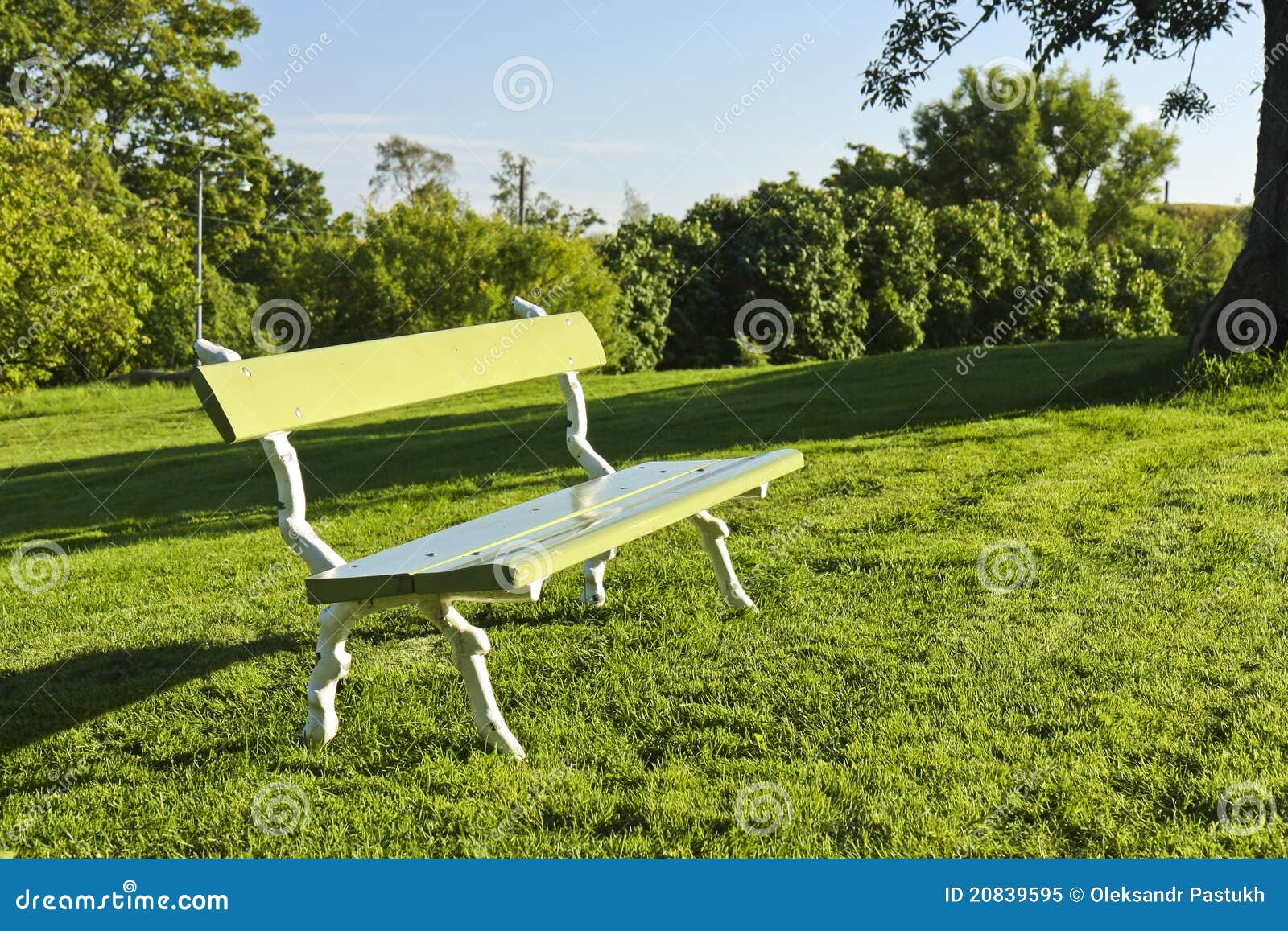 Bench in a park stock image. Image of blue, sunlight - 20839595