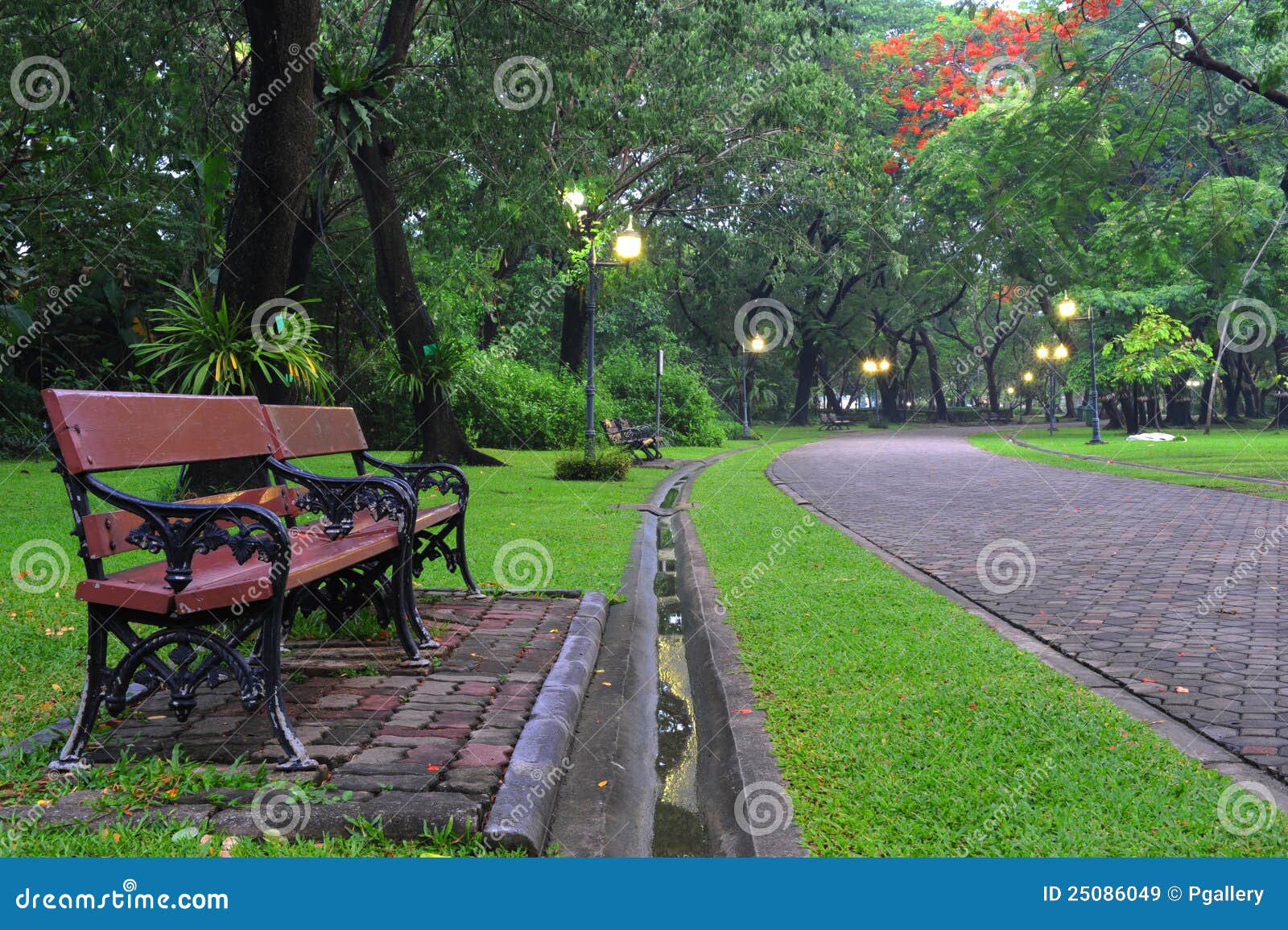 Bench in a park stock image. Image of spring, tree, chair - 25086049