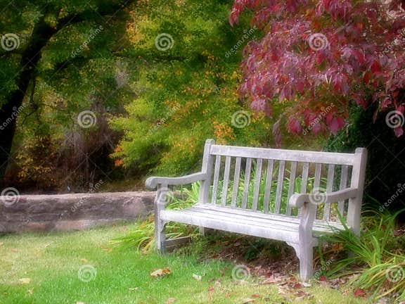 Bench in a park stock image. Image of wooden, serenity - 252613