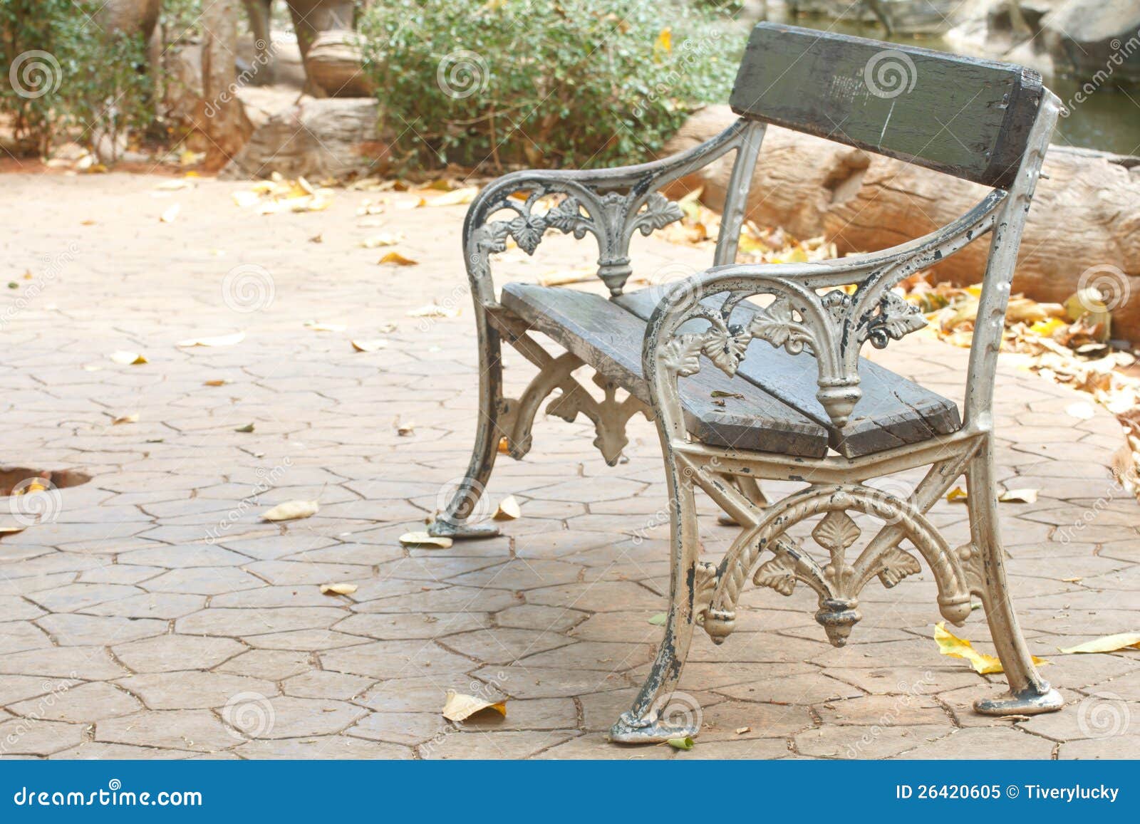 Bench in the park stock image. Image of cheerful, grass - 26420605