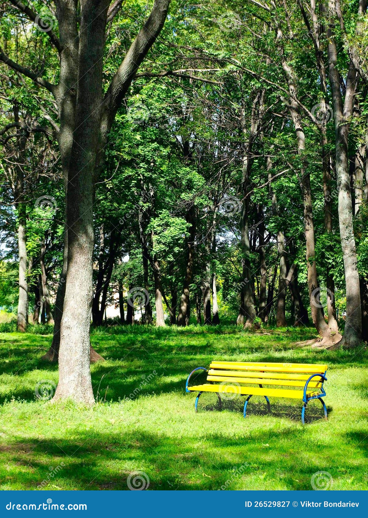 Bench in the park stock image. Image of tranquil, green - 26529827