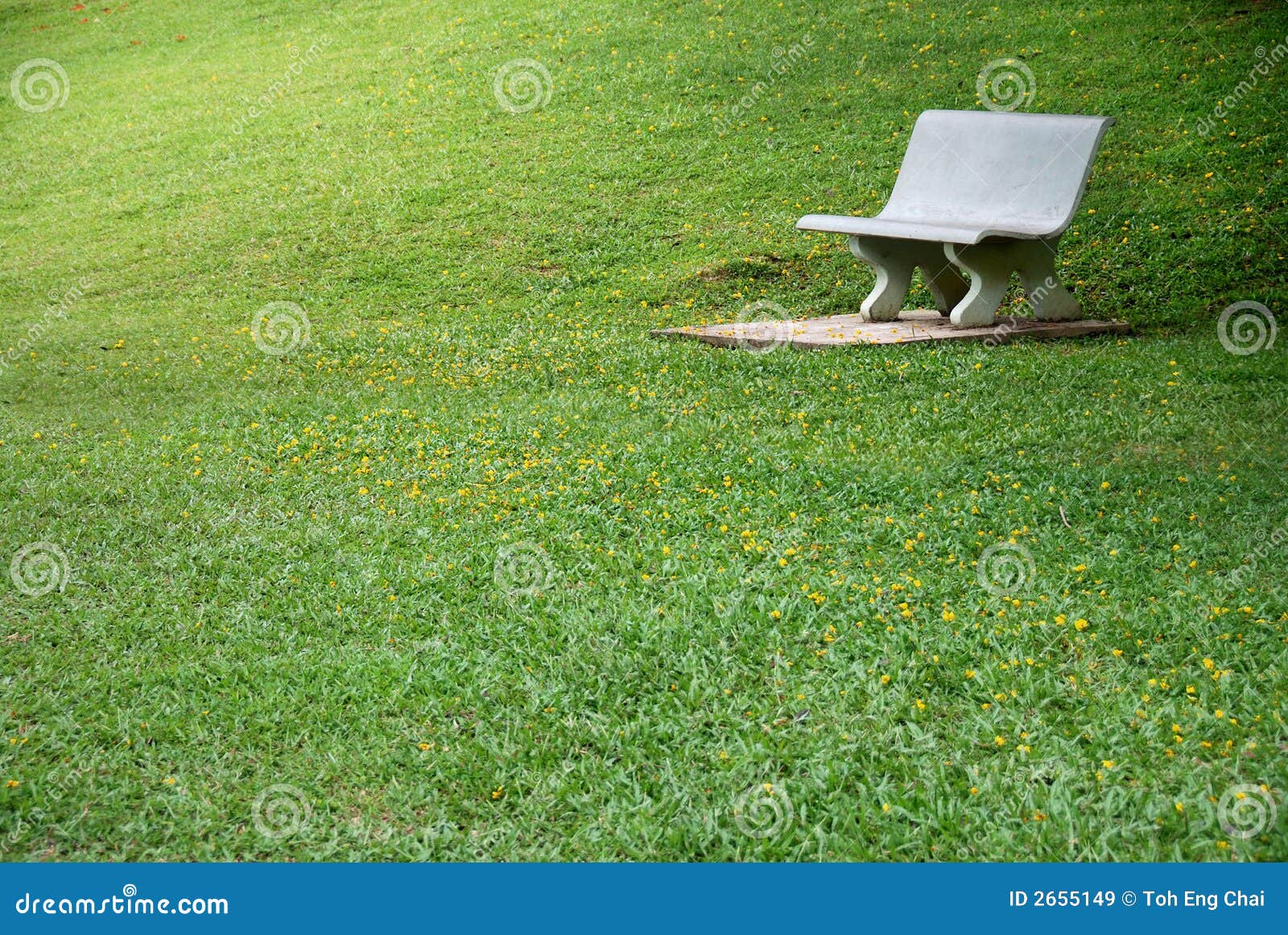 Bench in a Park stock image. Image of rest, bench, green - 2655149
