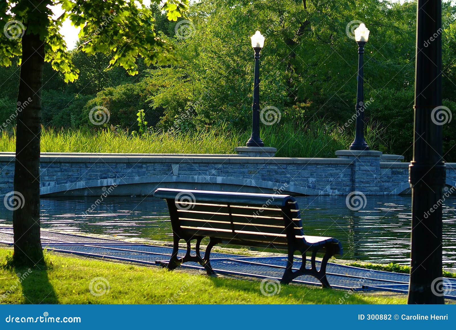 Bench on park stock photo. Image of benches, river, tree - 300882