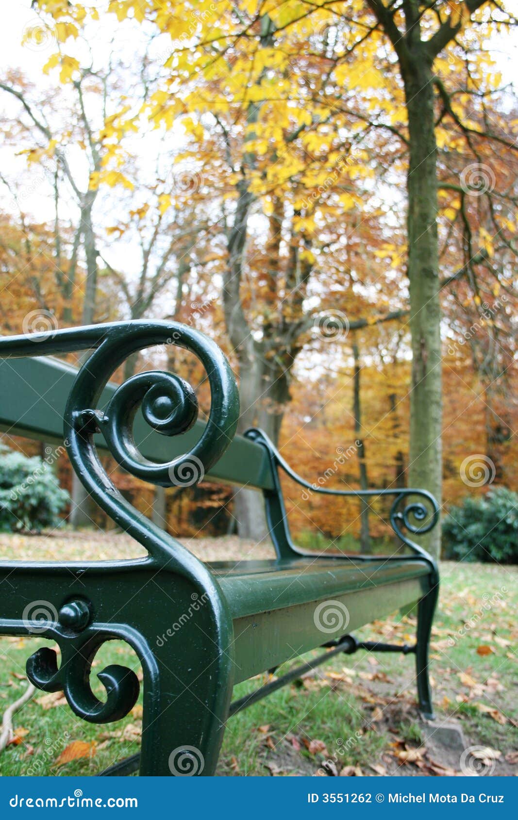 Bench in the park stock photo. Image of grass, resting - 3551262